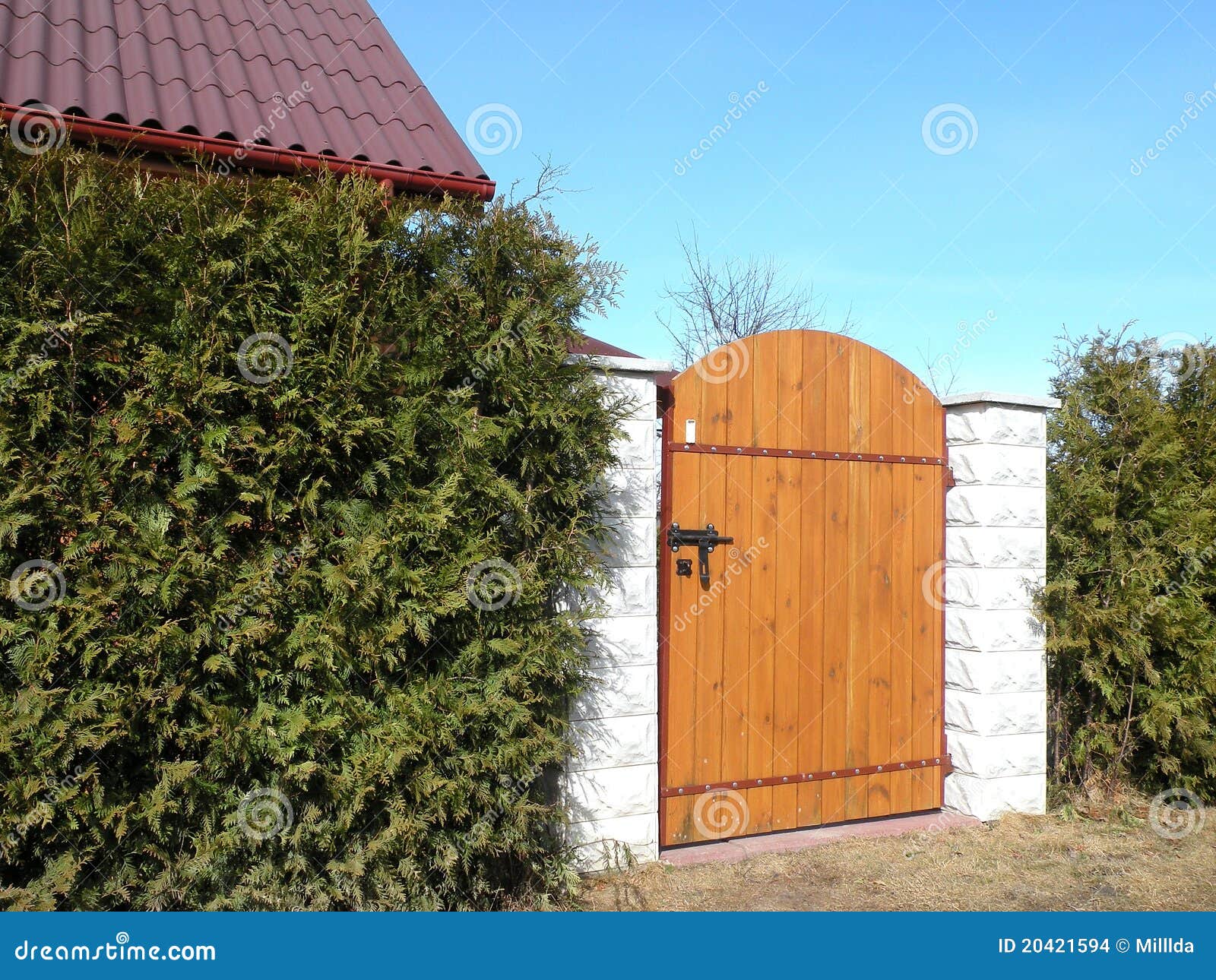 Wooden Gate Green Isolated Garden Fence Entrance Stock Photo ...