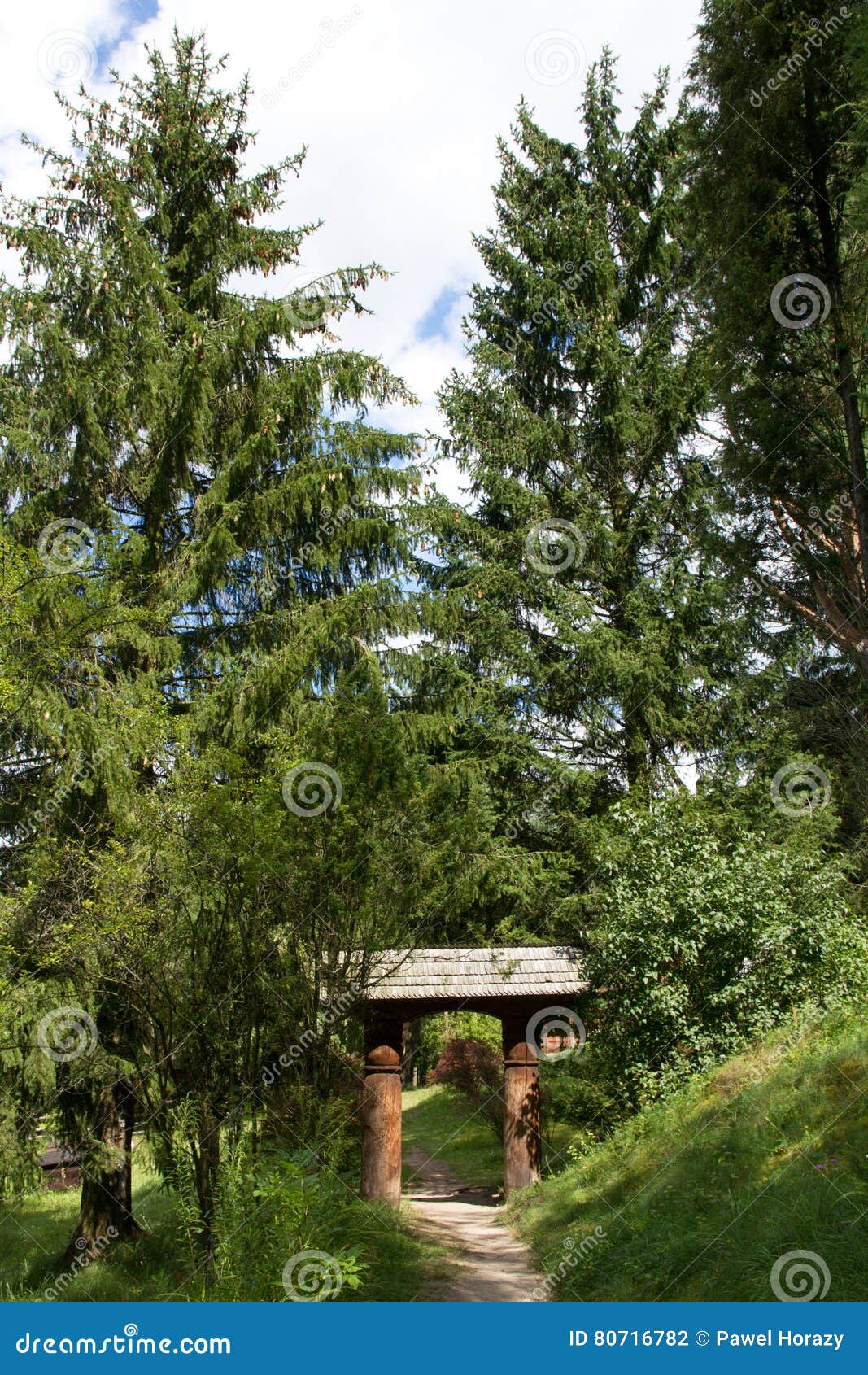 Wooden gate in the forest stock photo. Image of ancient - 80716782