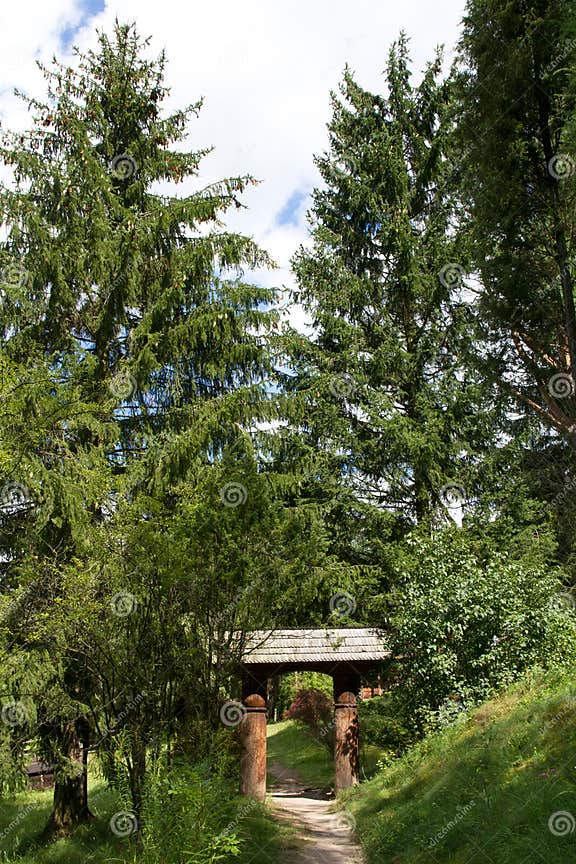 Wooden gate in the forest stock photo. Image of ancient - 80716782
