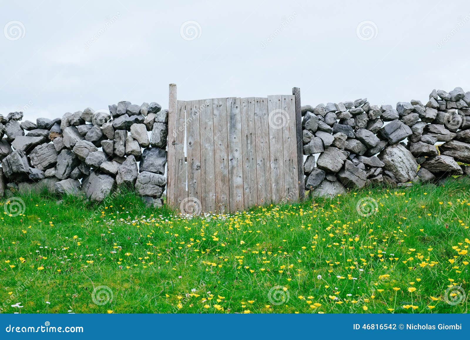 Wooden Gate, Ireland stock photo. Image of landscape - 46816542