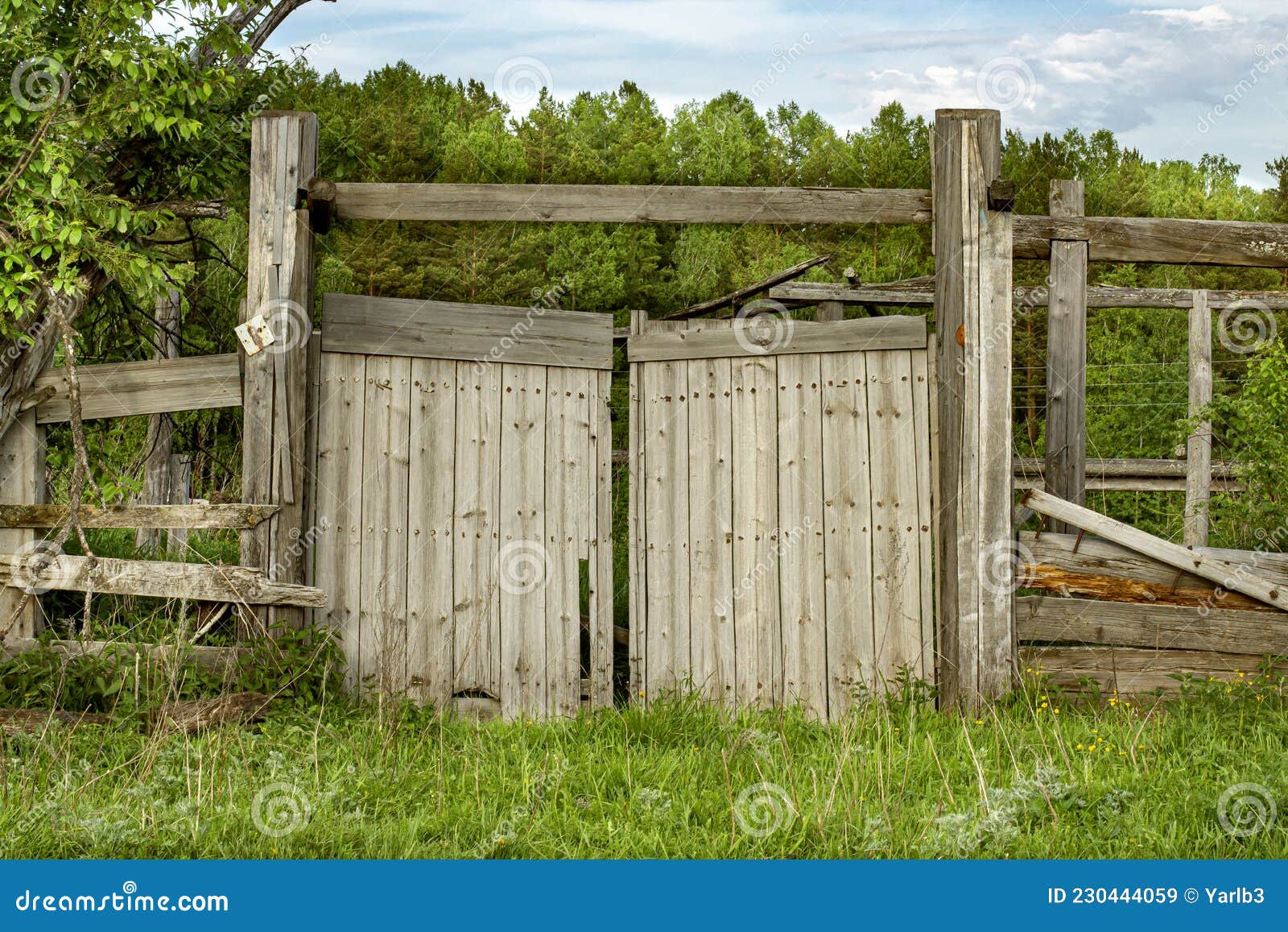 Wooden Gate of an Old Abandoned Manor House Stock Image - Image of ...