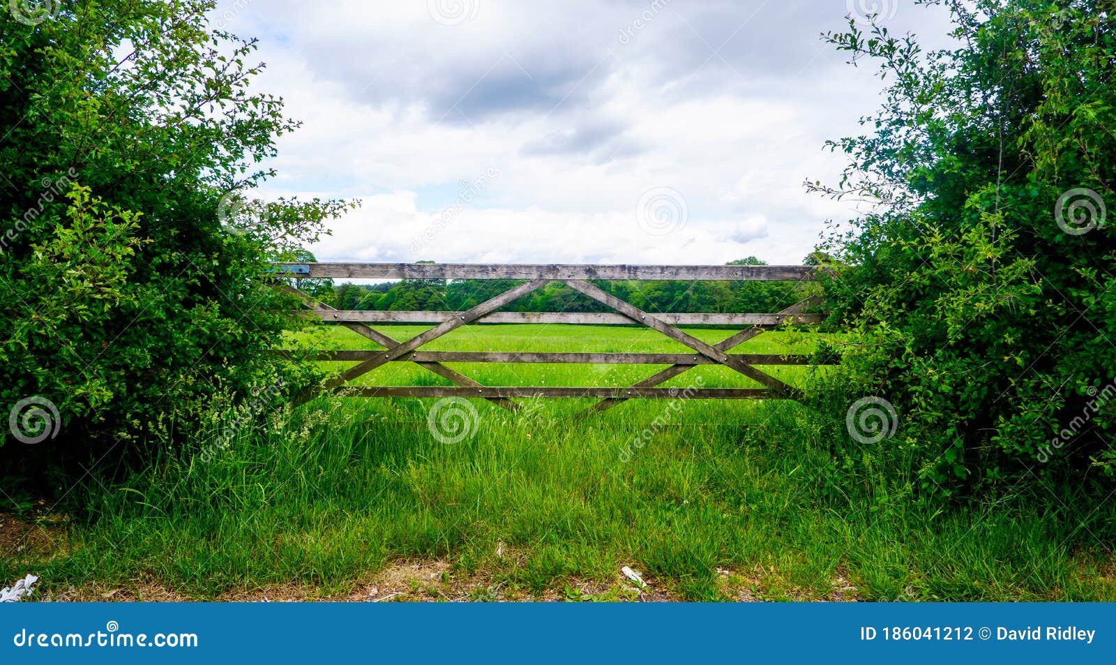 Wooden Gate with Open Field and Hawthron Hedge Stock Photo - Image of ...