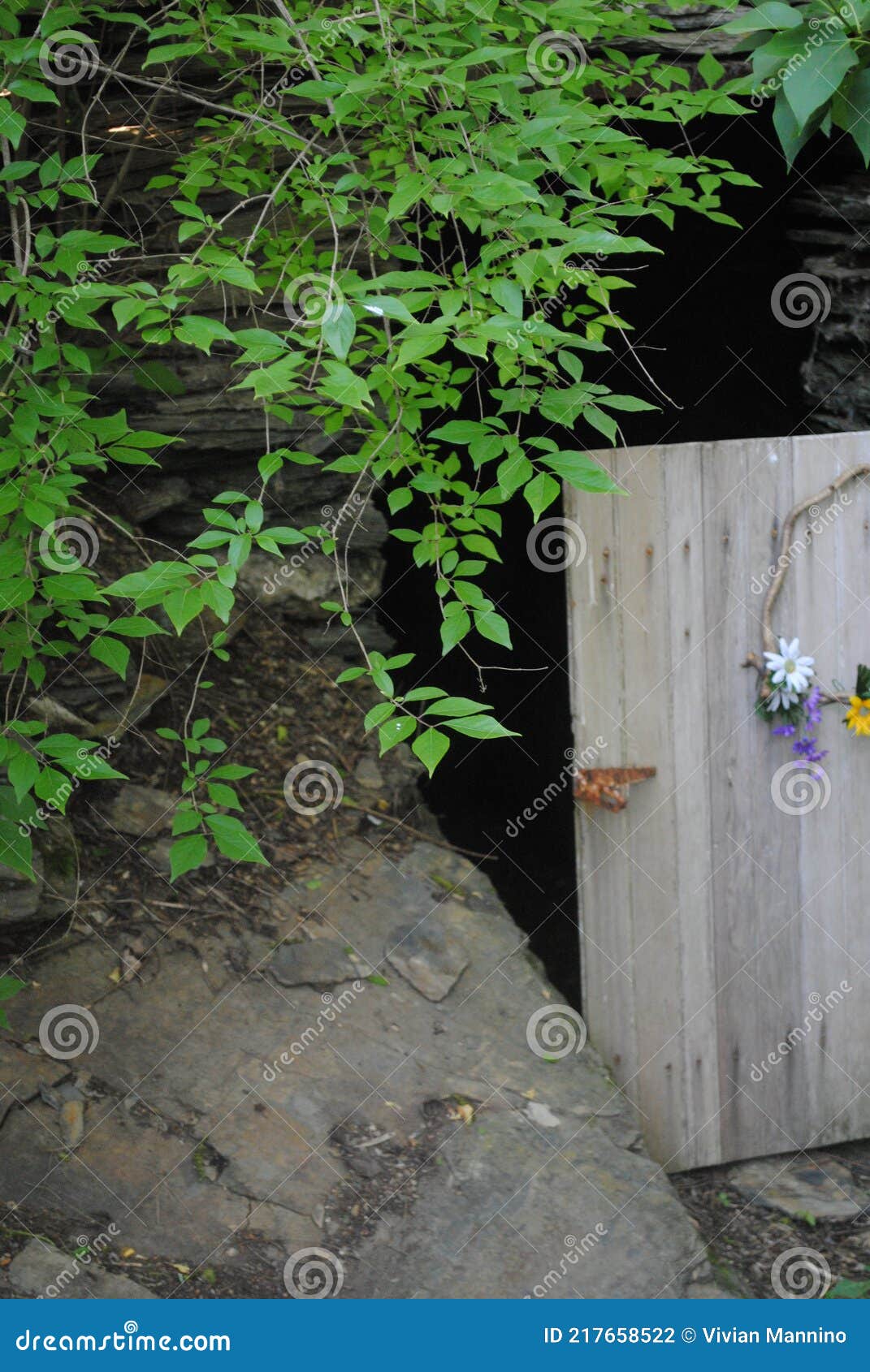 Wooden Gate stock photo. Image of nature, entrance, vegetation - 217658522