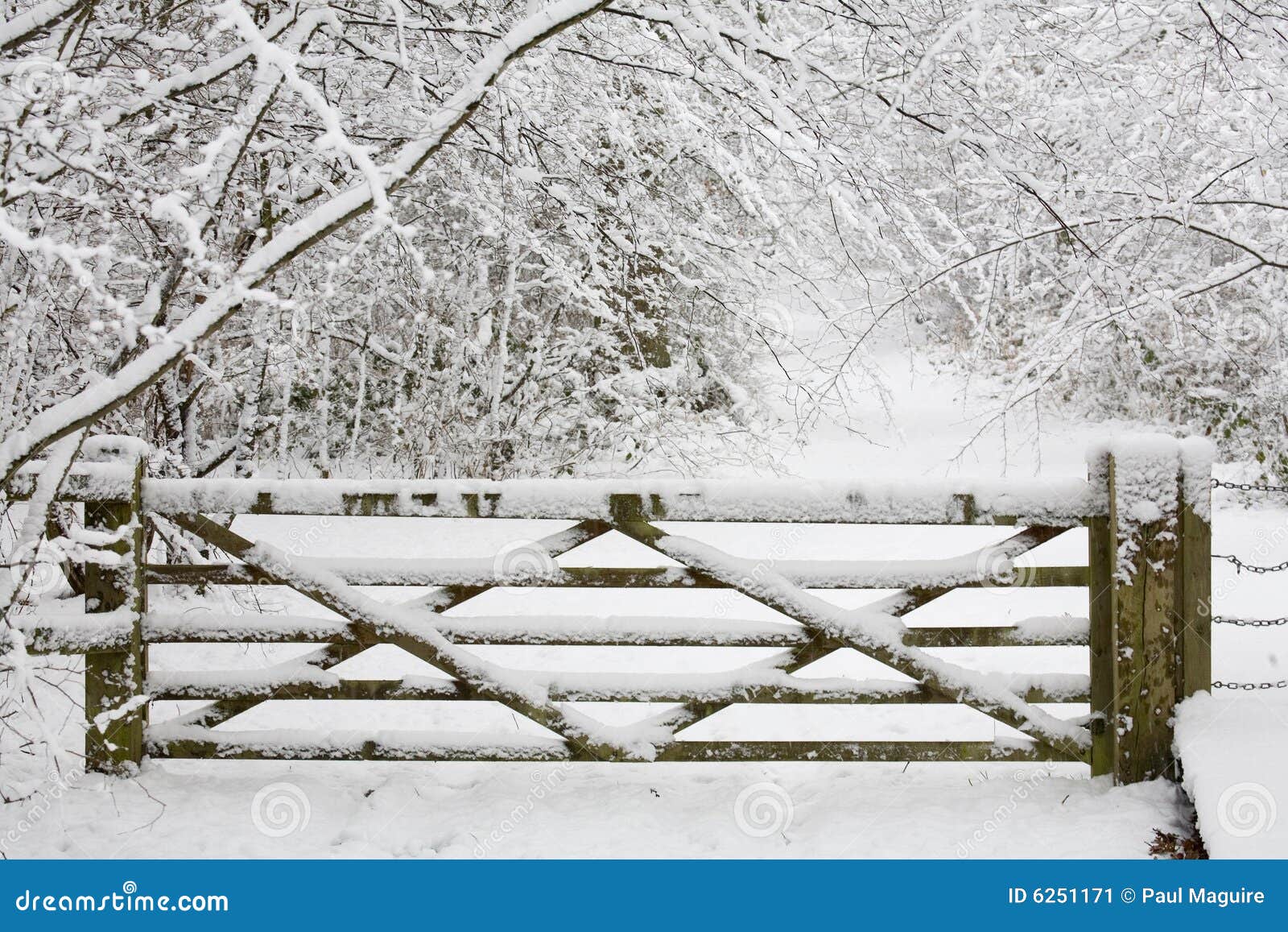 Wooden gate in snow stock image. Image of pristine, covered - 6251171