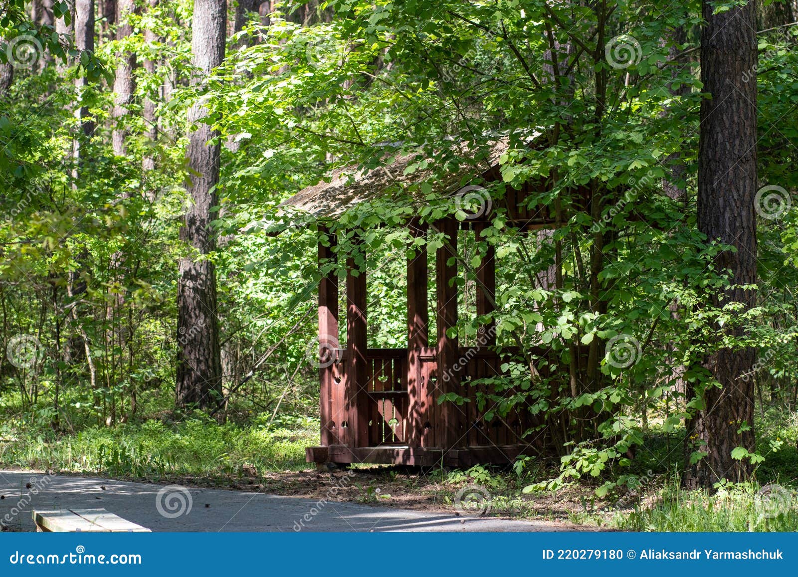 A Wooden Gazebo for Relaxing Stands in the Forest Stock Photo - Image ...