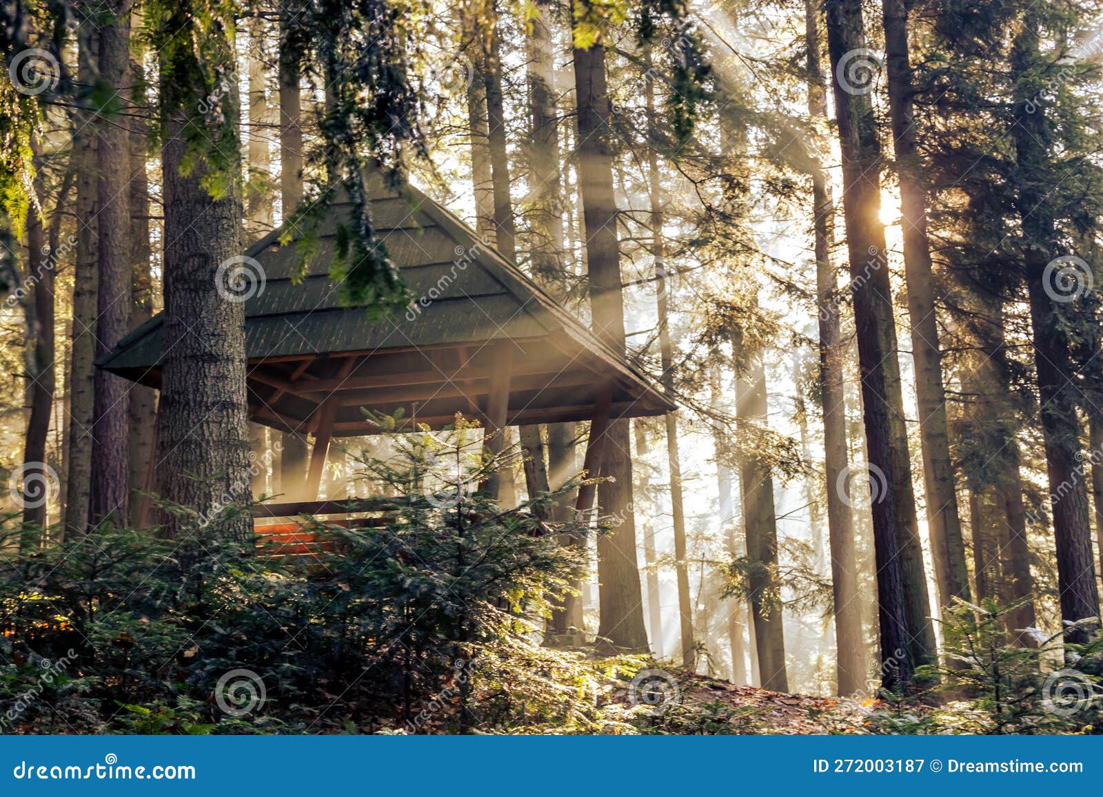 Wooden Gazebo in the Sunbeam in a Coniferous Forest Stock Image - Image ...