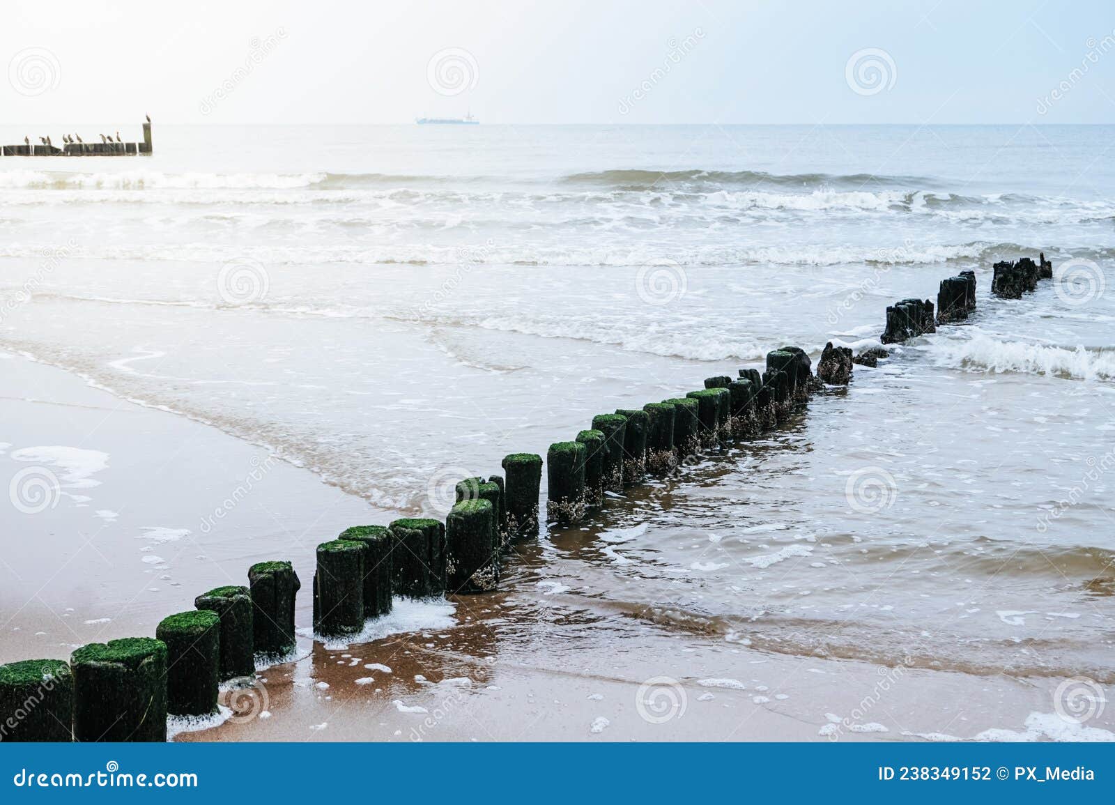 Wooden groyne on a sea stock photo. Image of breakwater - 238349152