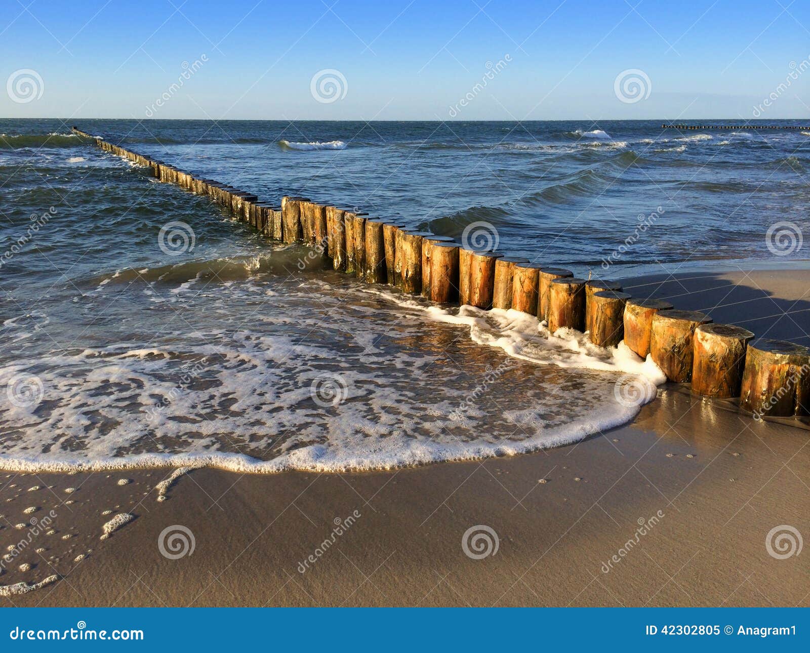 Wooden groynes stock image. Image of baltic, darss, groynes - 42302805