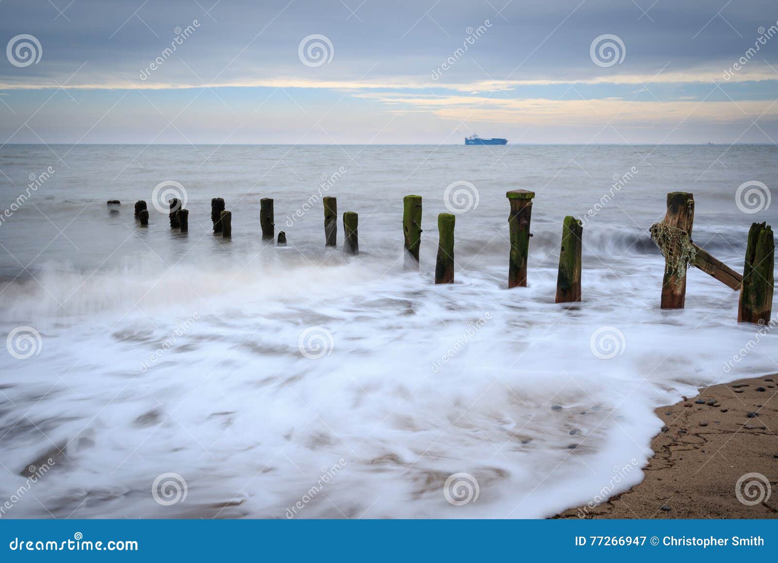 Wooden groynes stock image. Image of bird, black, ocean - 77266947