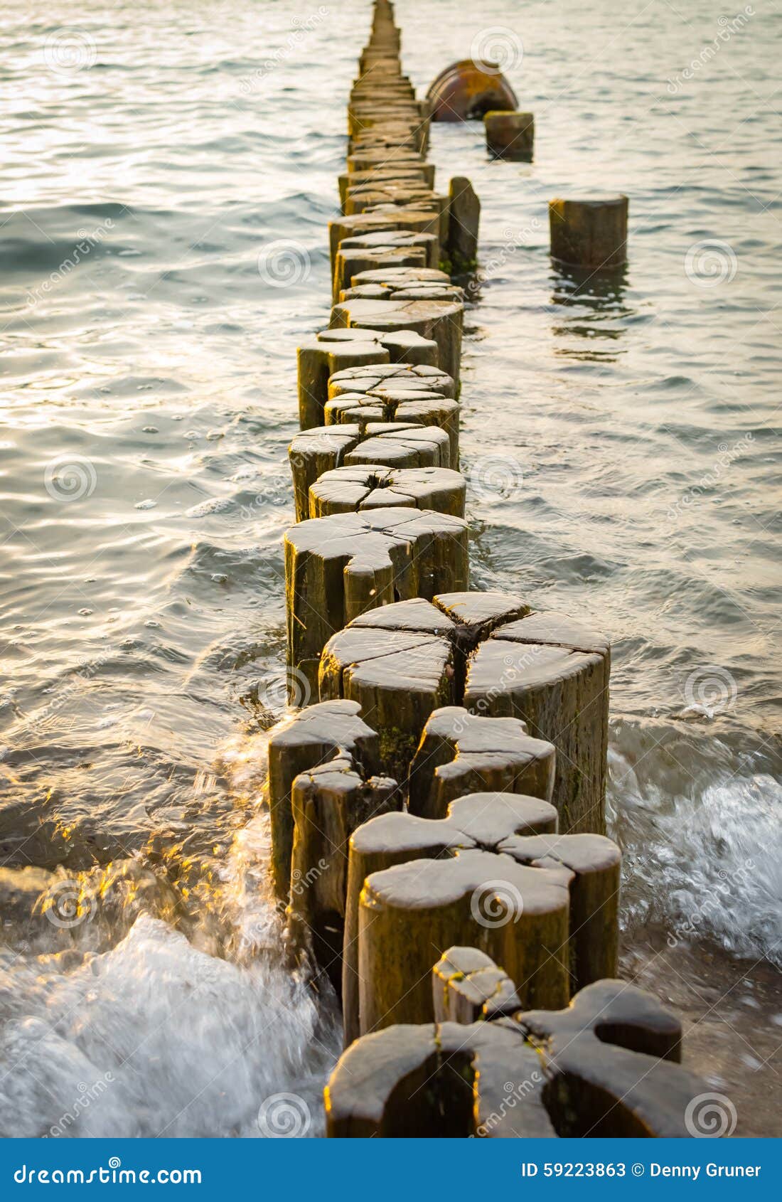 Wooden groynes stock image. Image of coastal, prevention - 59223863