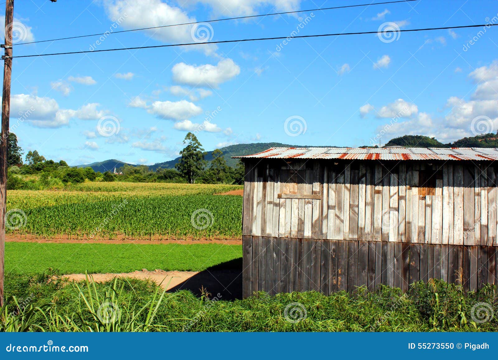 Field hall stock photo. Image of south, road, river, agriculture - 55273550
