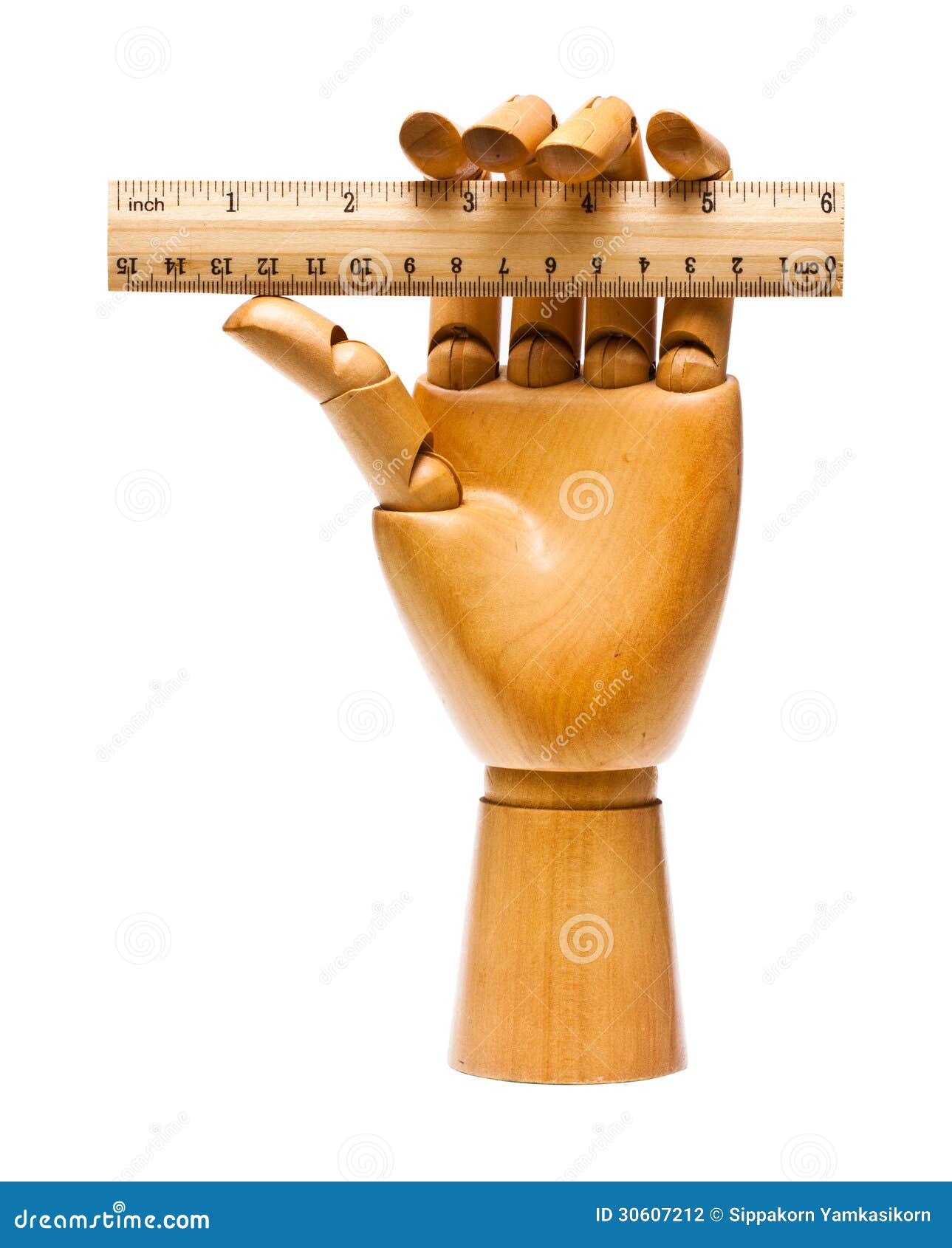 Wooden hand and ruler stock photo. Image of white, palm - 30607212
