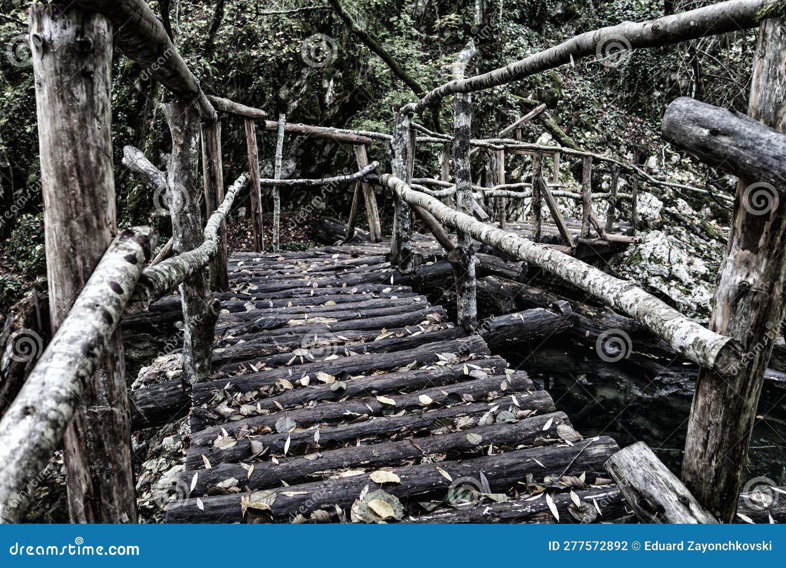 Wooden Handmade Bridge in the Forest. Stock Photo - Image of footpath ...