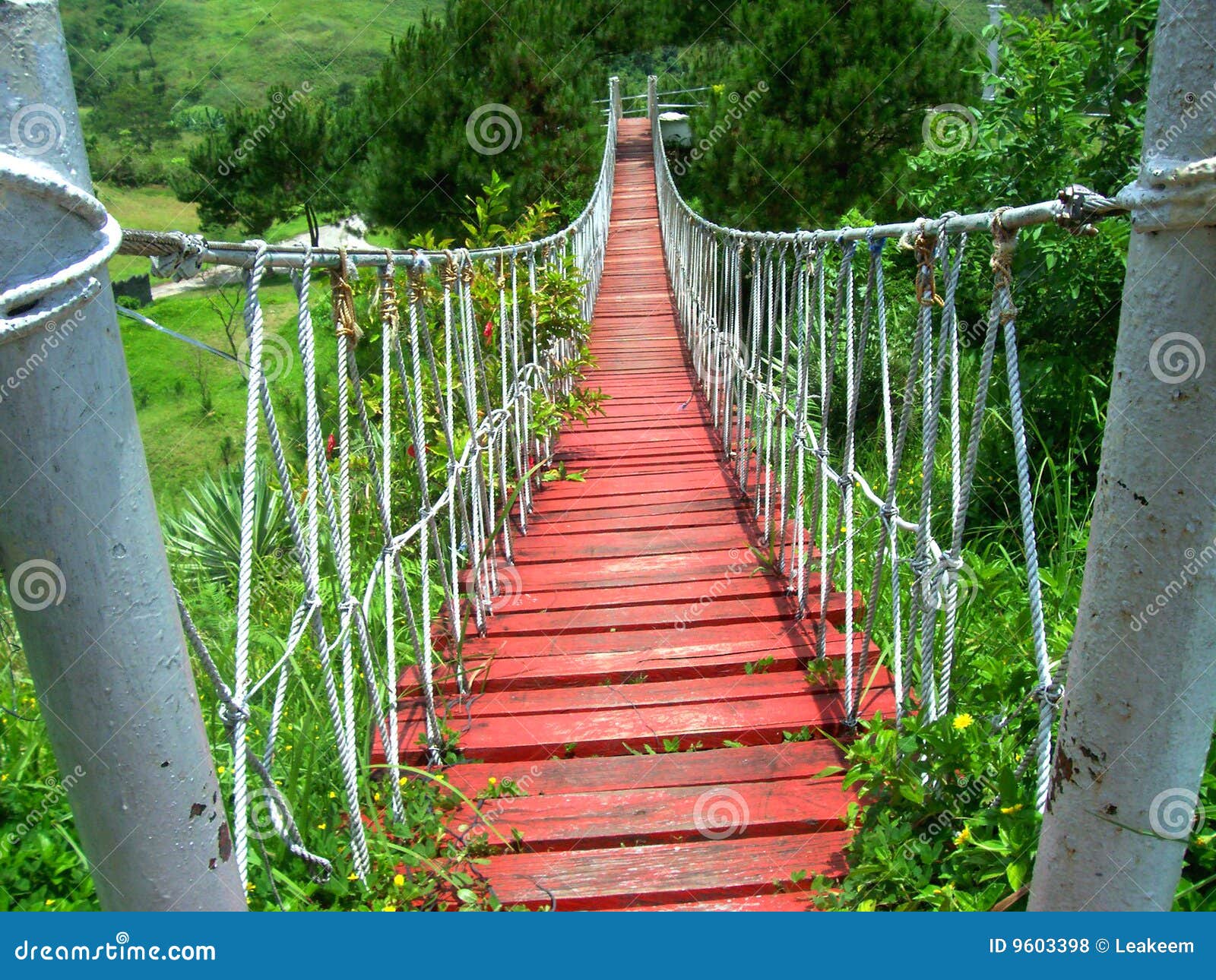 Wooden hanging Bridge stock photo. Image of exploration - 9603398