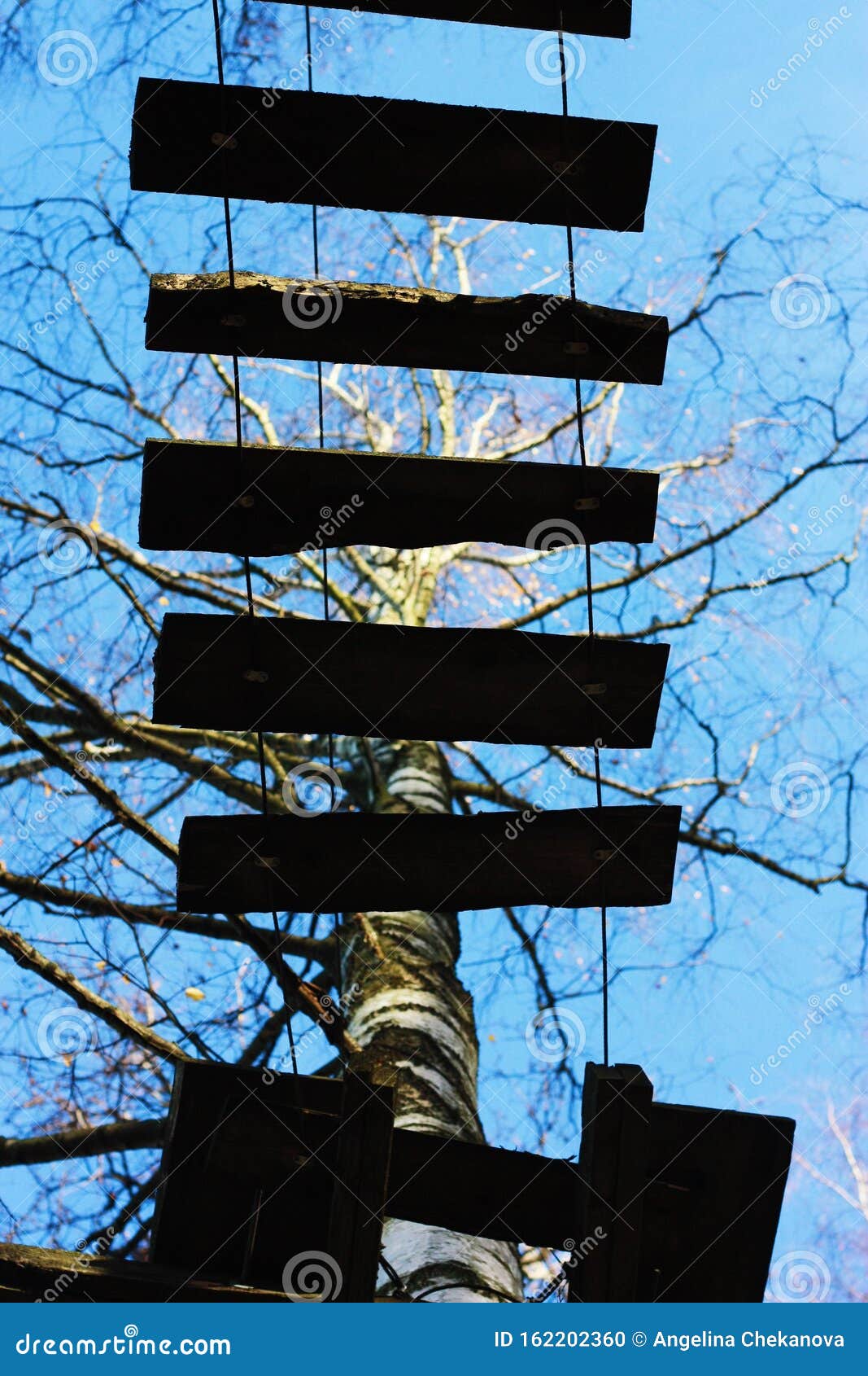 Wooden Hanging Ladder in the Forest View Stock Photo - Image of forest ...