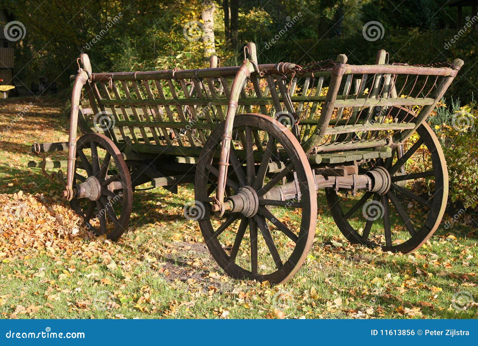 Wooden hay cart stock photo. Image of harvesting, aged - 11613856