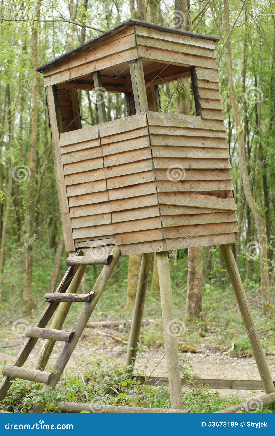 Wooden hide in a forest stock image. Image of greenery - 53673189