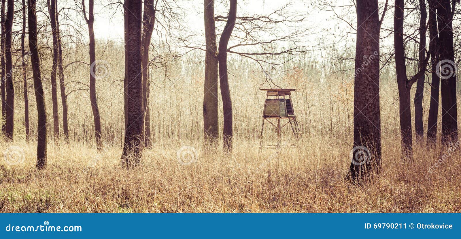 Wooden Hide in Leafy Green Forest Stock Image - Image of forest, stand ...