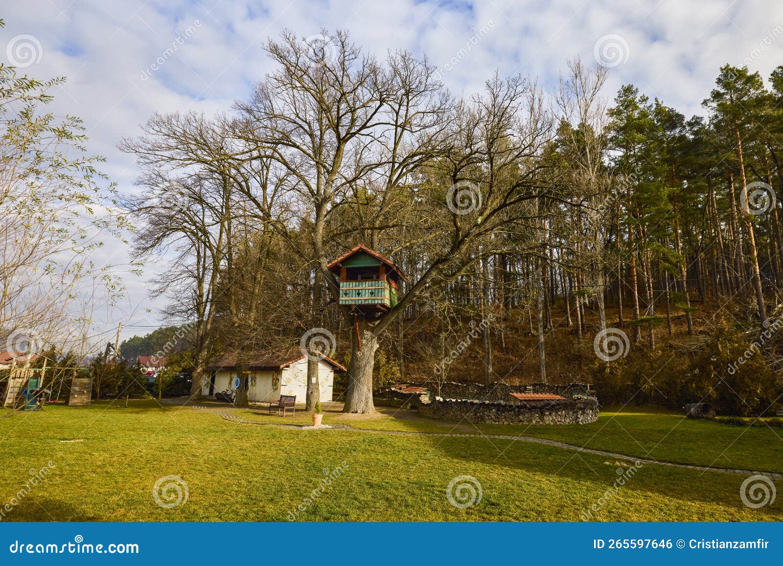 Wooden house in a big tree stock photo. Image of outdoor - 265597646