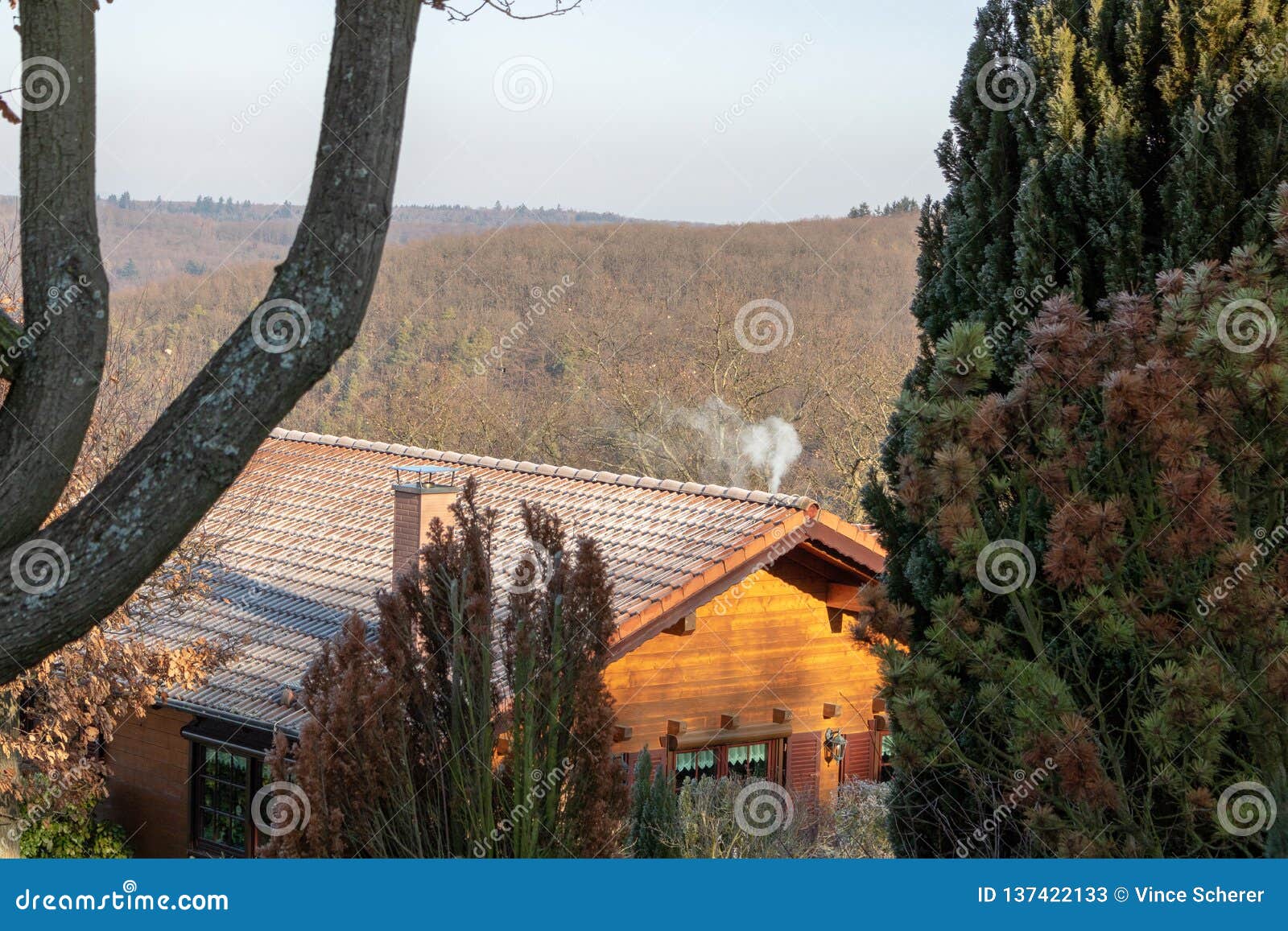 Wooden House in the Forest in Germany Stock Image - Image of ...
