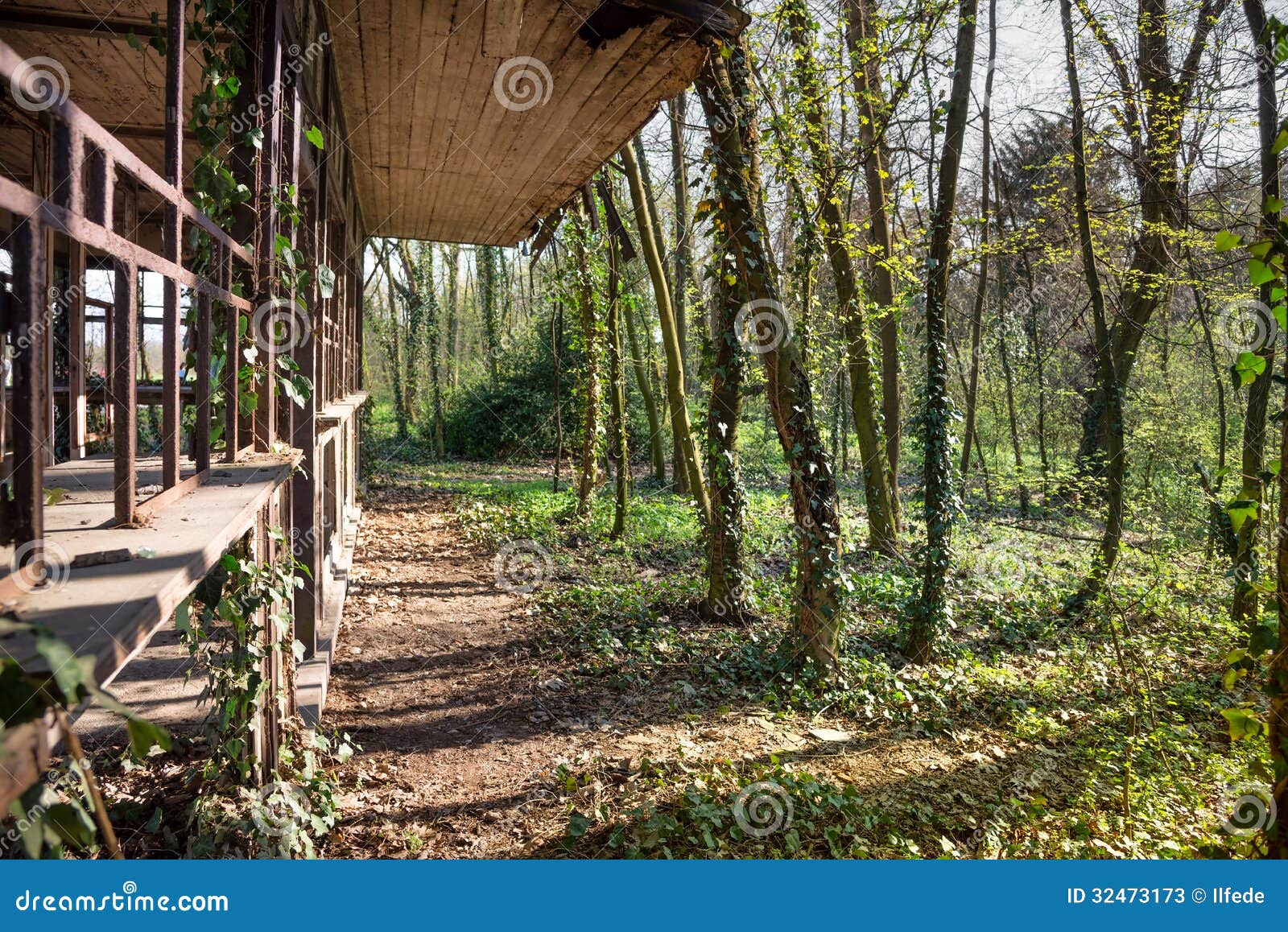 Wooden house in the forest stock image. Image of shack - 32473173