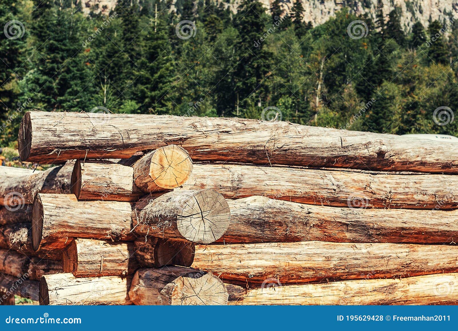 Wooden House Made of Logs at the Initial Stage of Construction. Forest ...