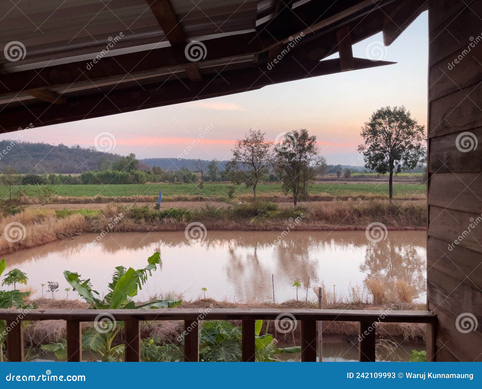 On a Wooden House in the Morning. Stock Image - Image of river ...