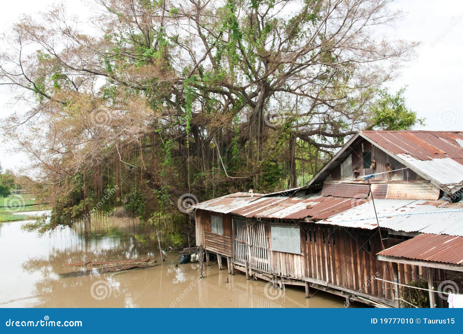 Wooden House Near the River Stock Photo - Image of canal, asia: 19777010