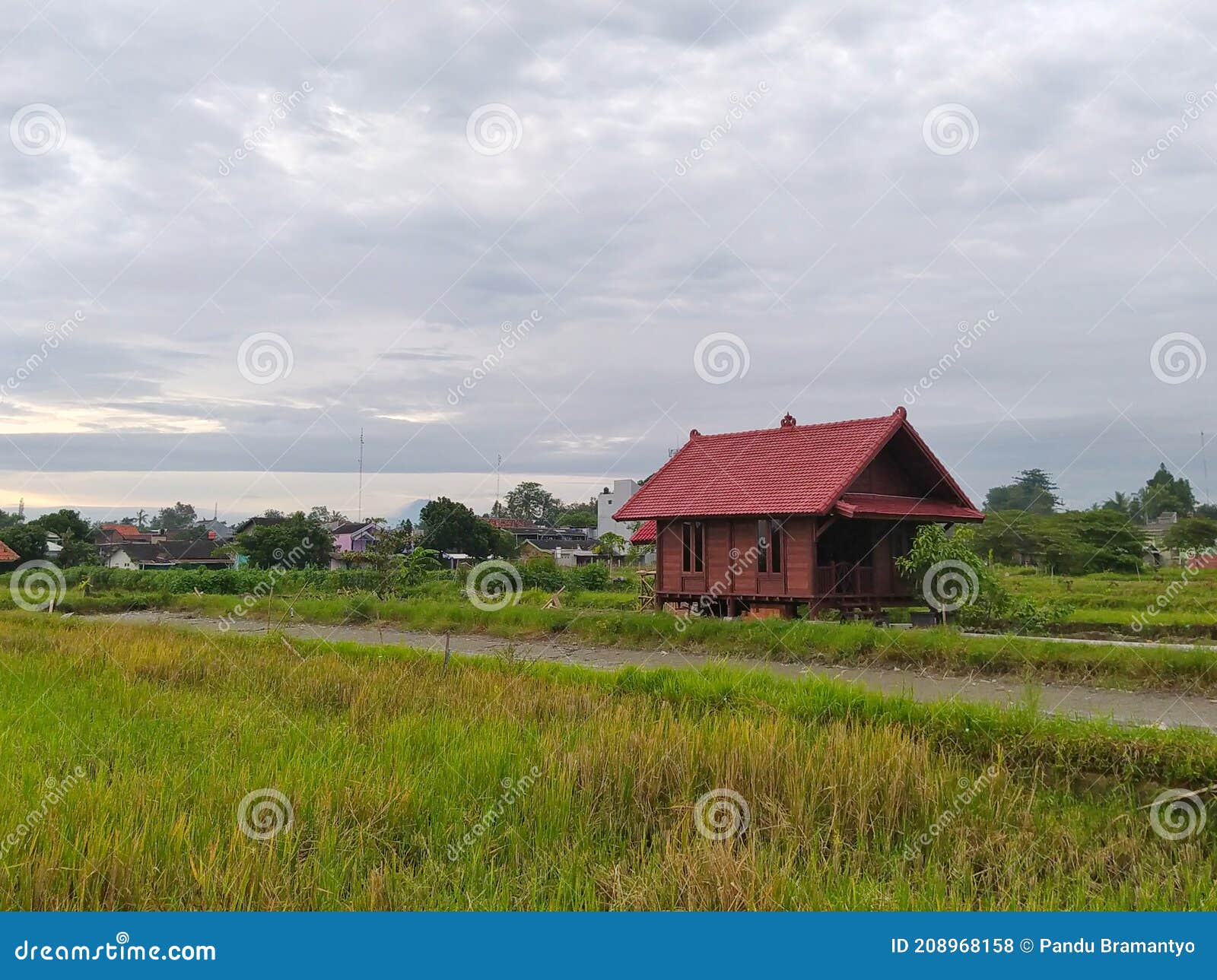 Wooden House in Rice Fields Stock Photo - Image of house, skies: 208968158