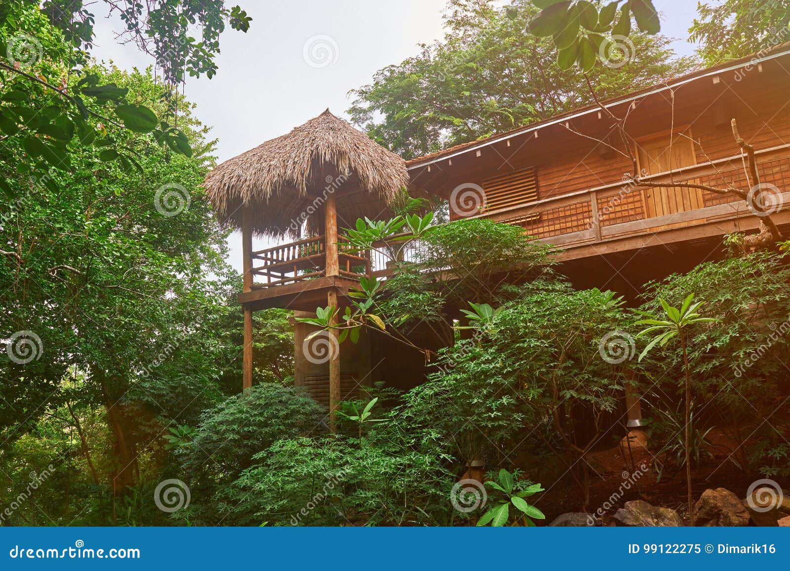 Wooden house on tree stock image. Image of beauty, garden - 99122275