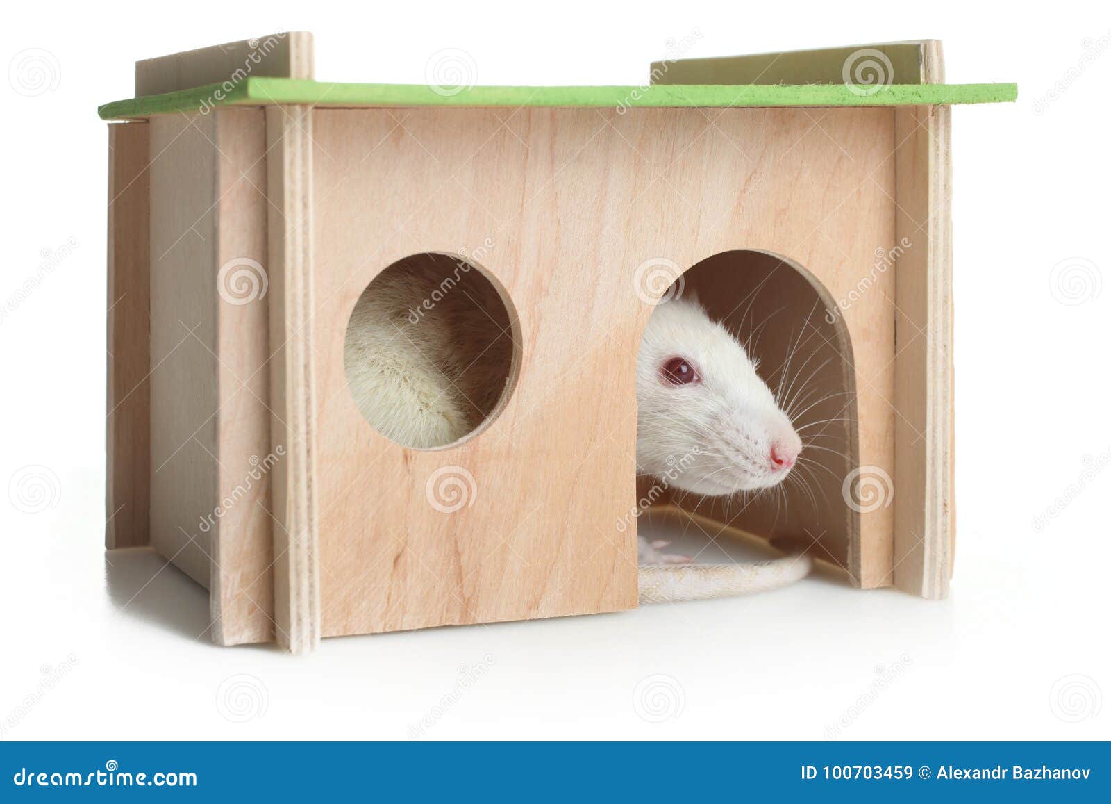 Wooden house for rat stock image. Image of wool, decorative - 100703459