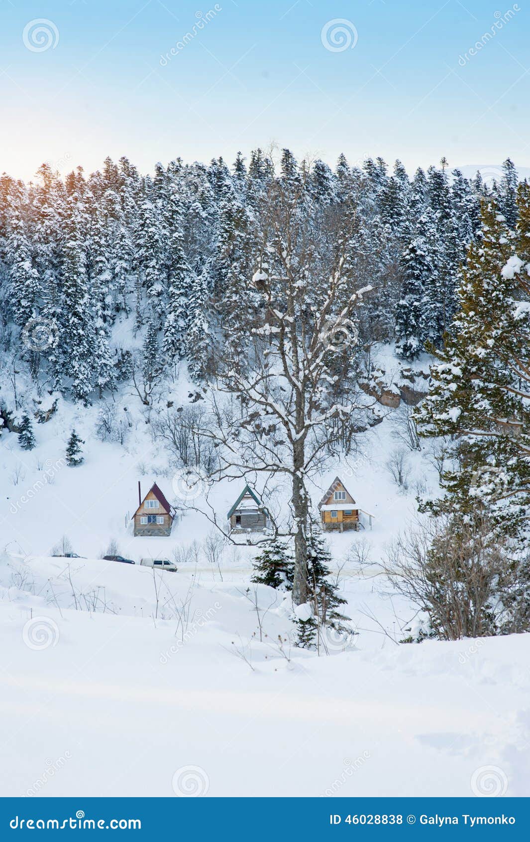 Wooden House in Winter Forest Stock Photo - Image of mountain, scenery ...
