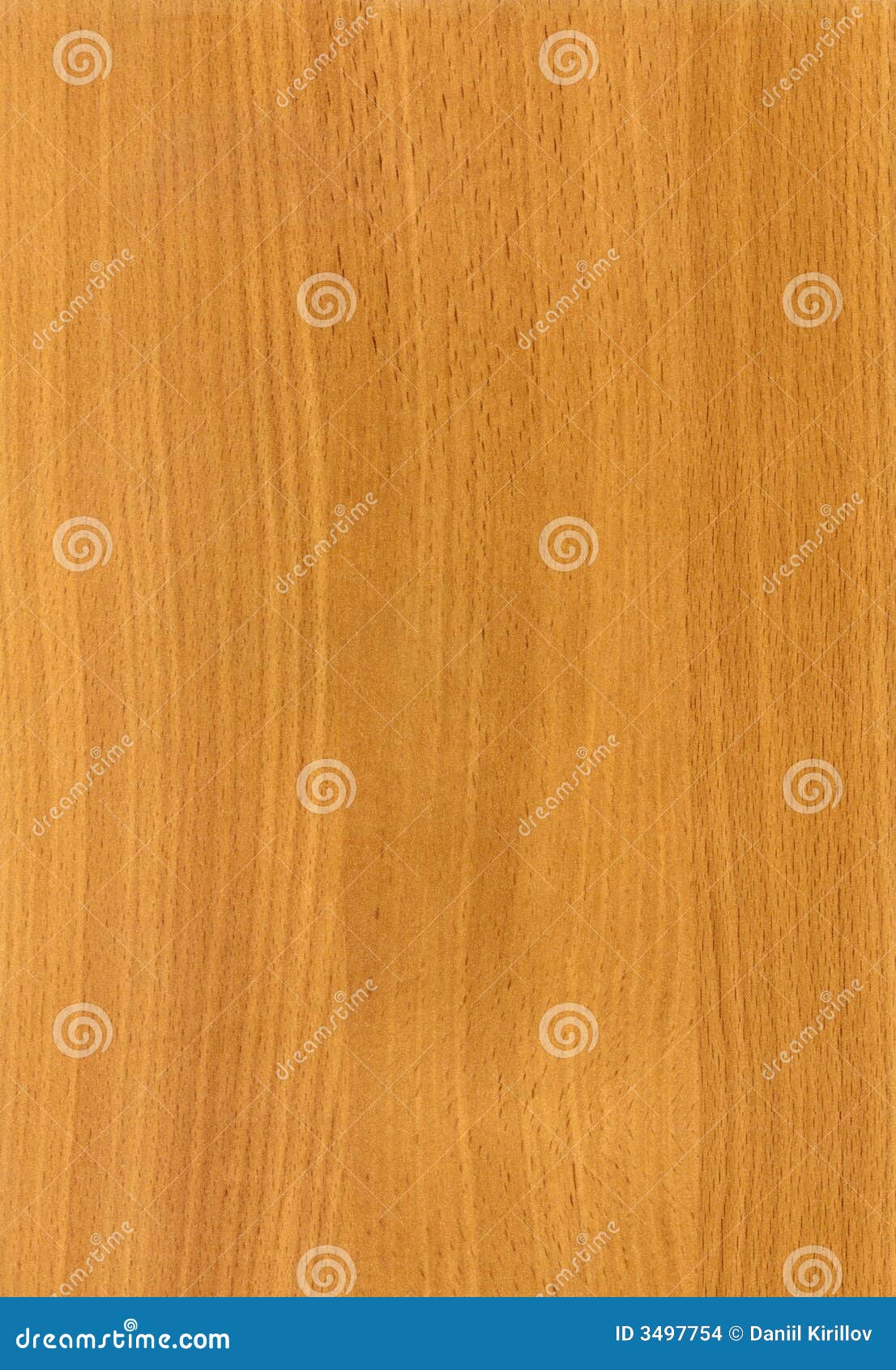 Hq Close Up Wooden Beech Texture Stock Photos - Free & Royalty-Free ...