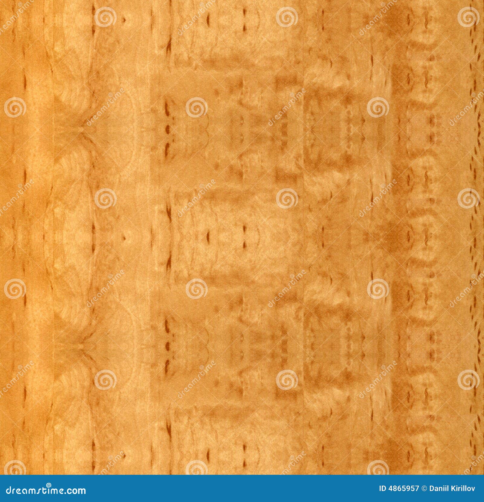 Wooden HQ Sandy Birch Texture Stock Image - Image of abstract, close ...