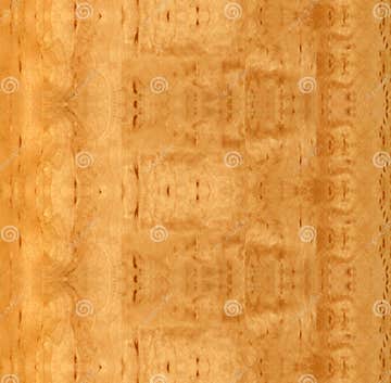Wooden HQ Sandy Birch Texture Stock Image - Image of abstract, close ...
