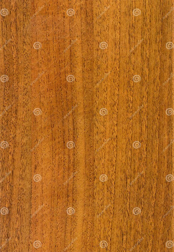 Wooden HQ Walnut texture stock image. Image of lumber - 3497777