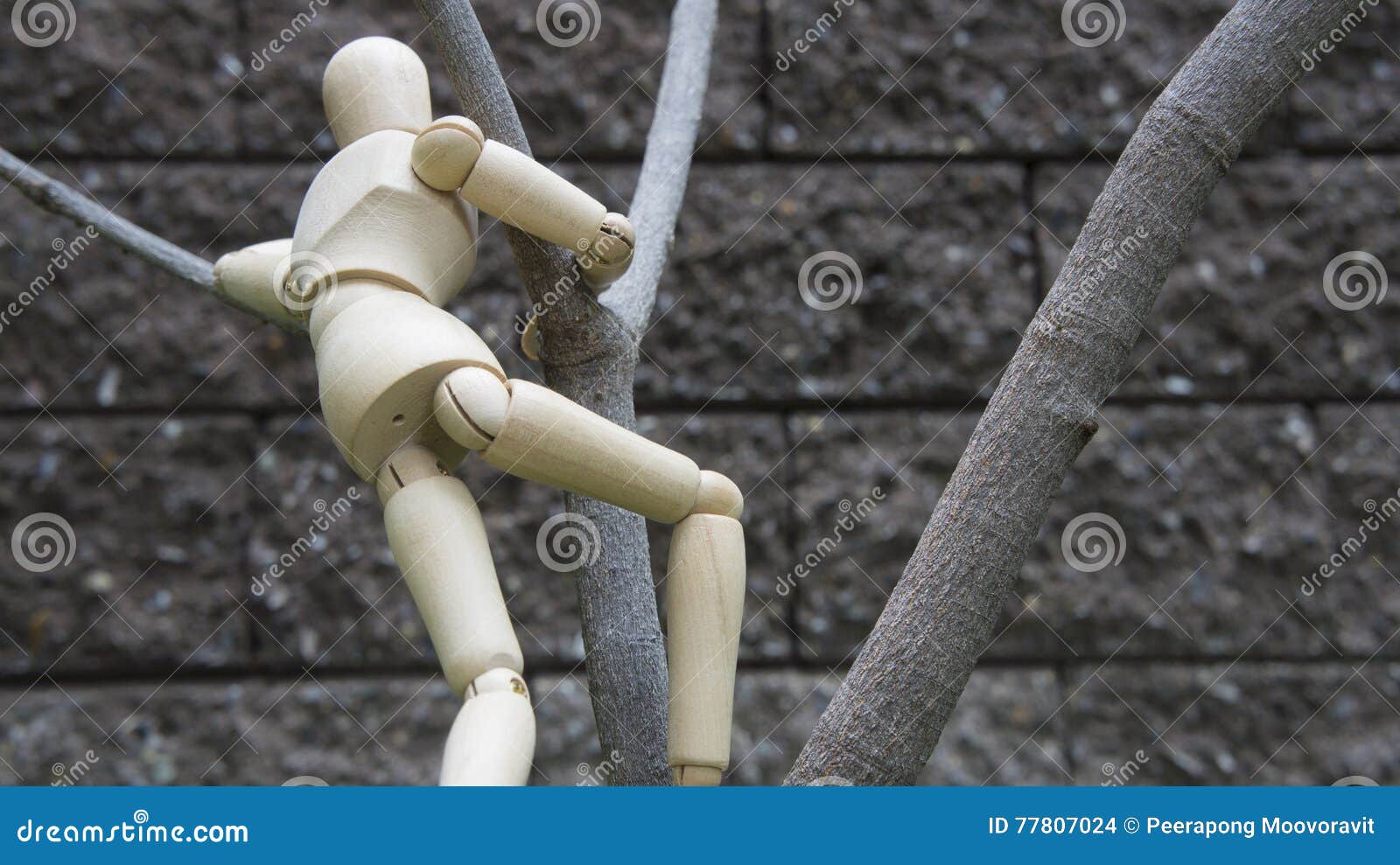 Wooden Human Figure Climb Tree Garden Stock Photo - Image of wall ...