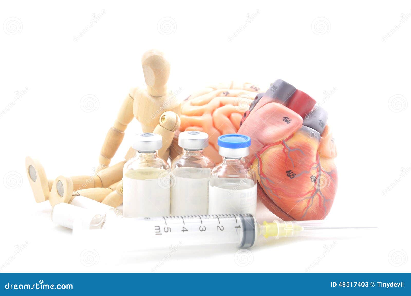 Wooden Human Model and Part of Human Model Stock Image - Image of ...