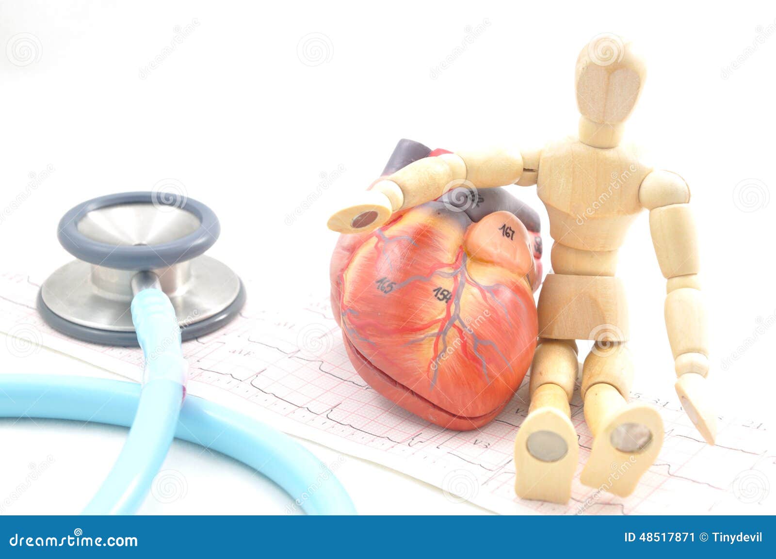 Wooden Human Model and Part of Human Model Stock Image - Image of ...