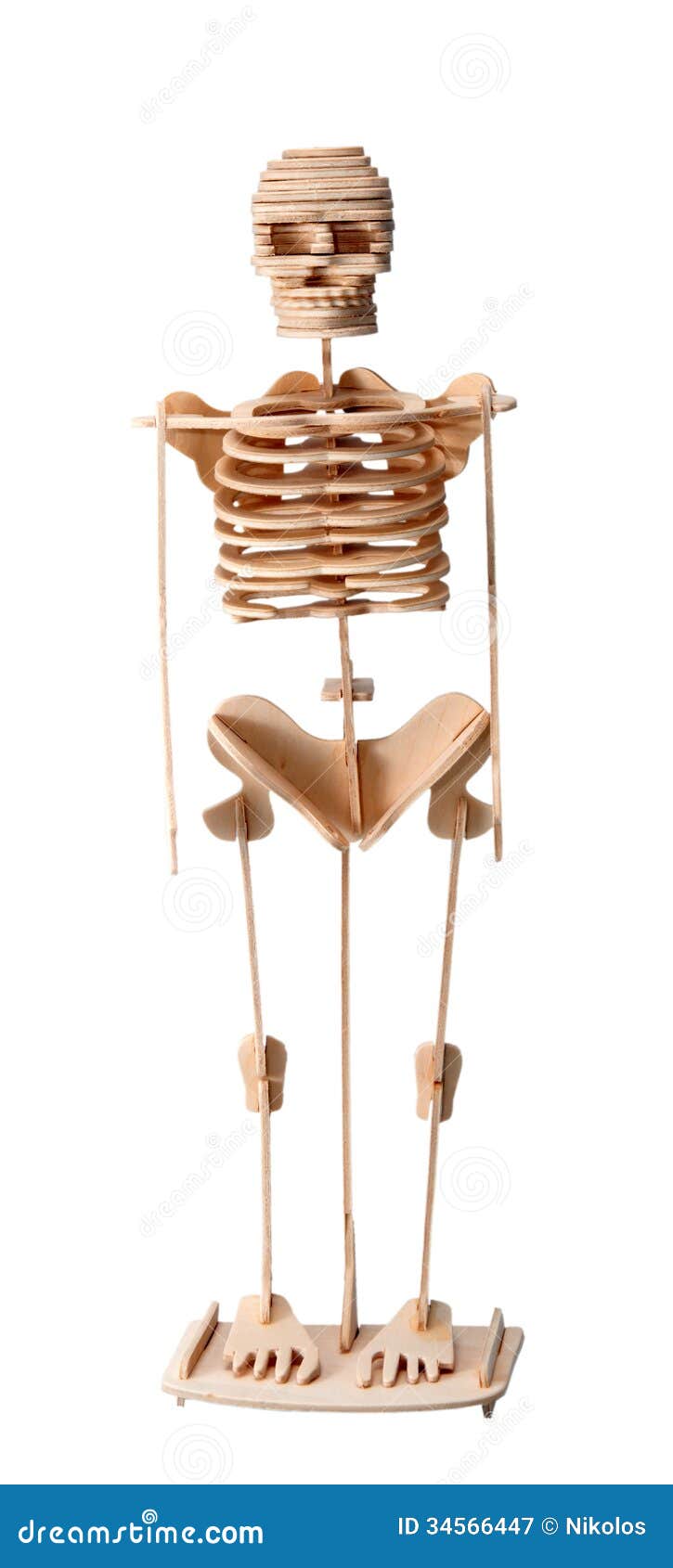 Wooden human skeleton stock image. Image of skeleton - 34566447