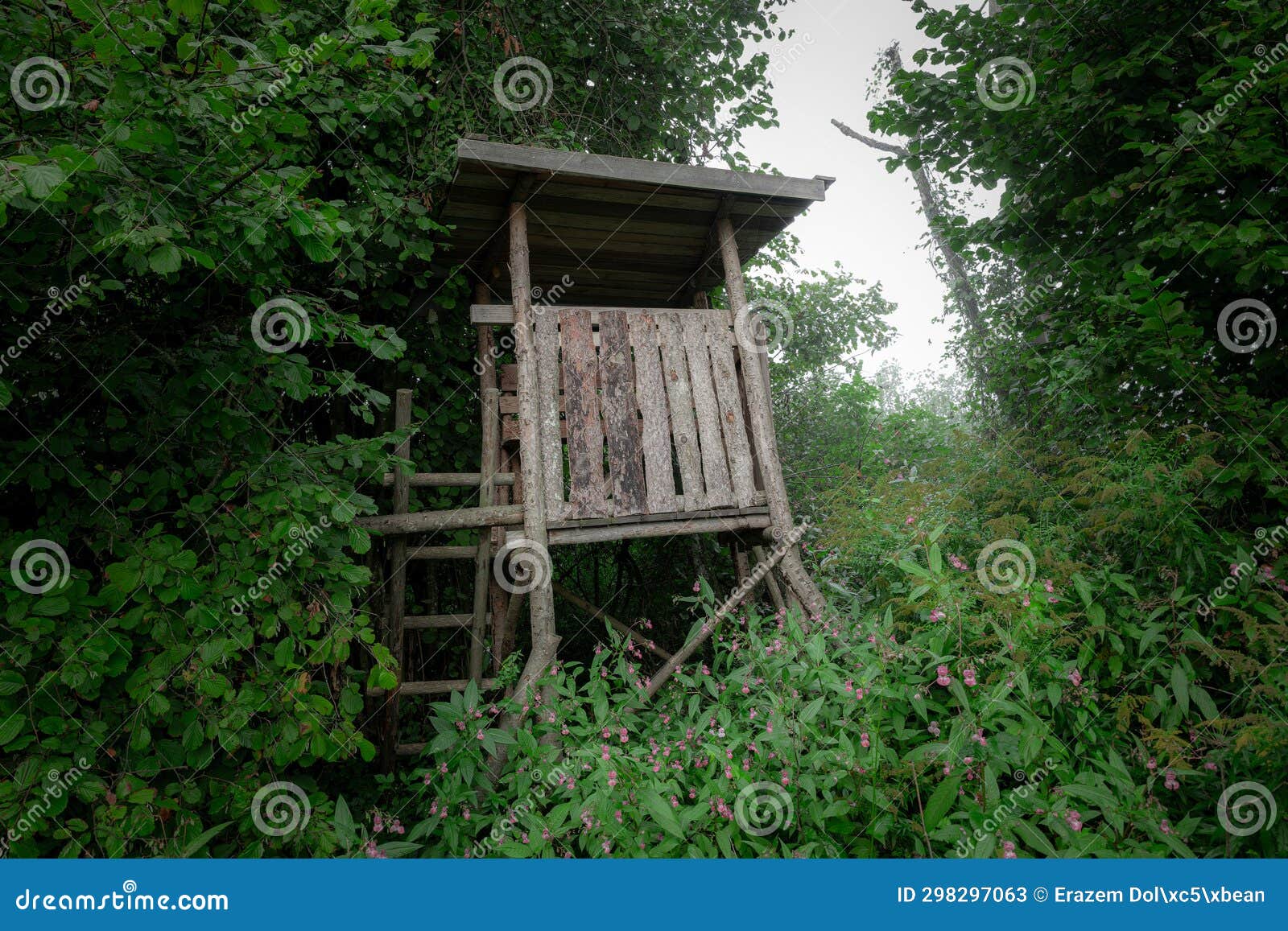 Wooden hunting hide stock image. Image of tree, hunt - 298297063
