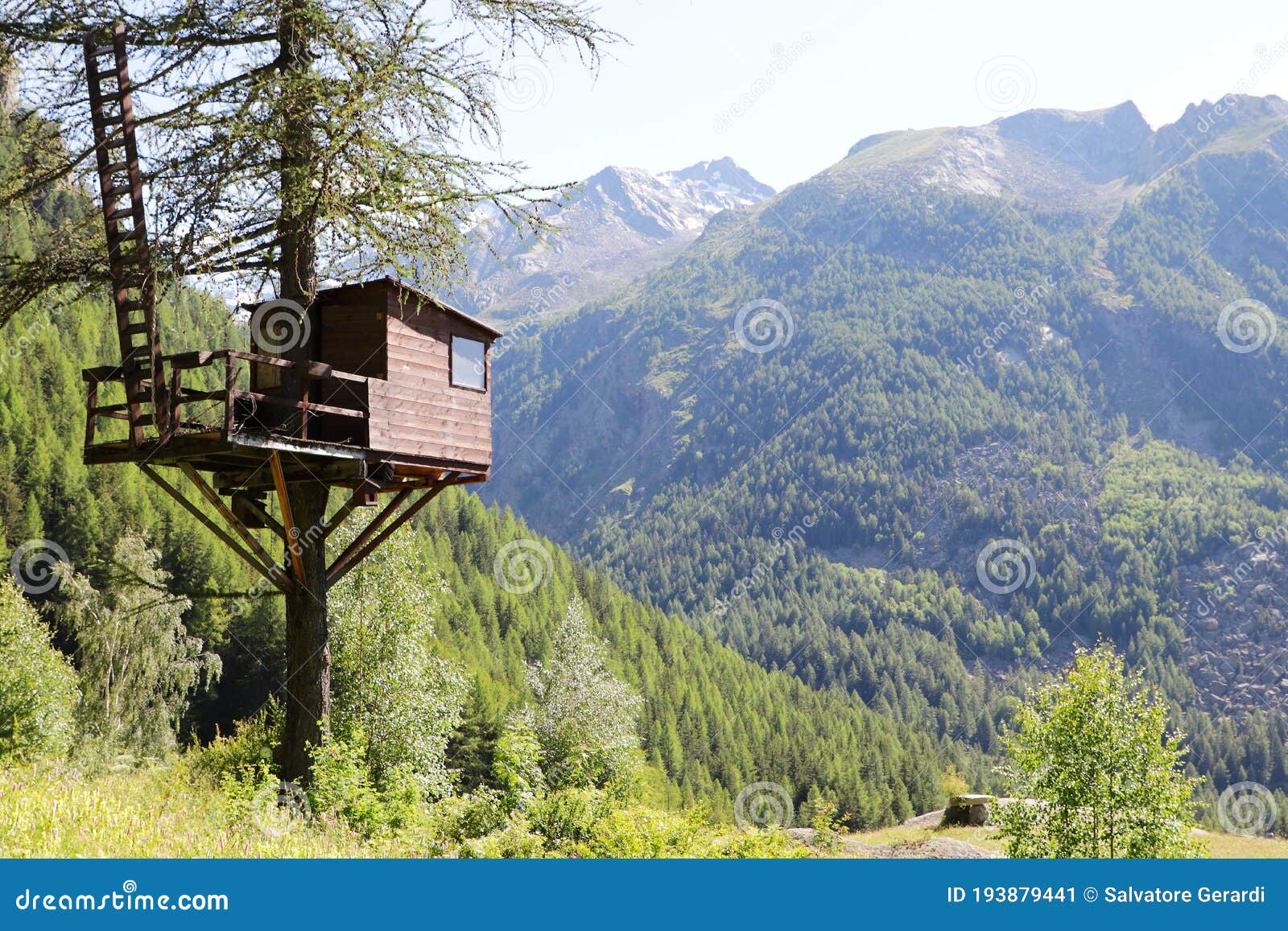 Hunting hut on a tree stock image. Image of plant, agriculture - 193879441