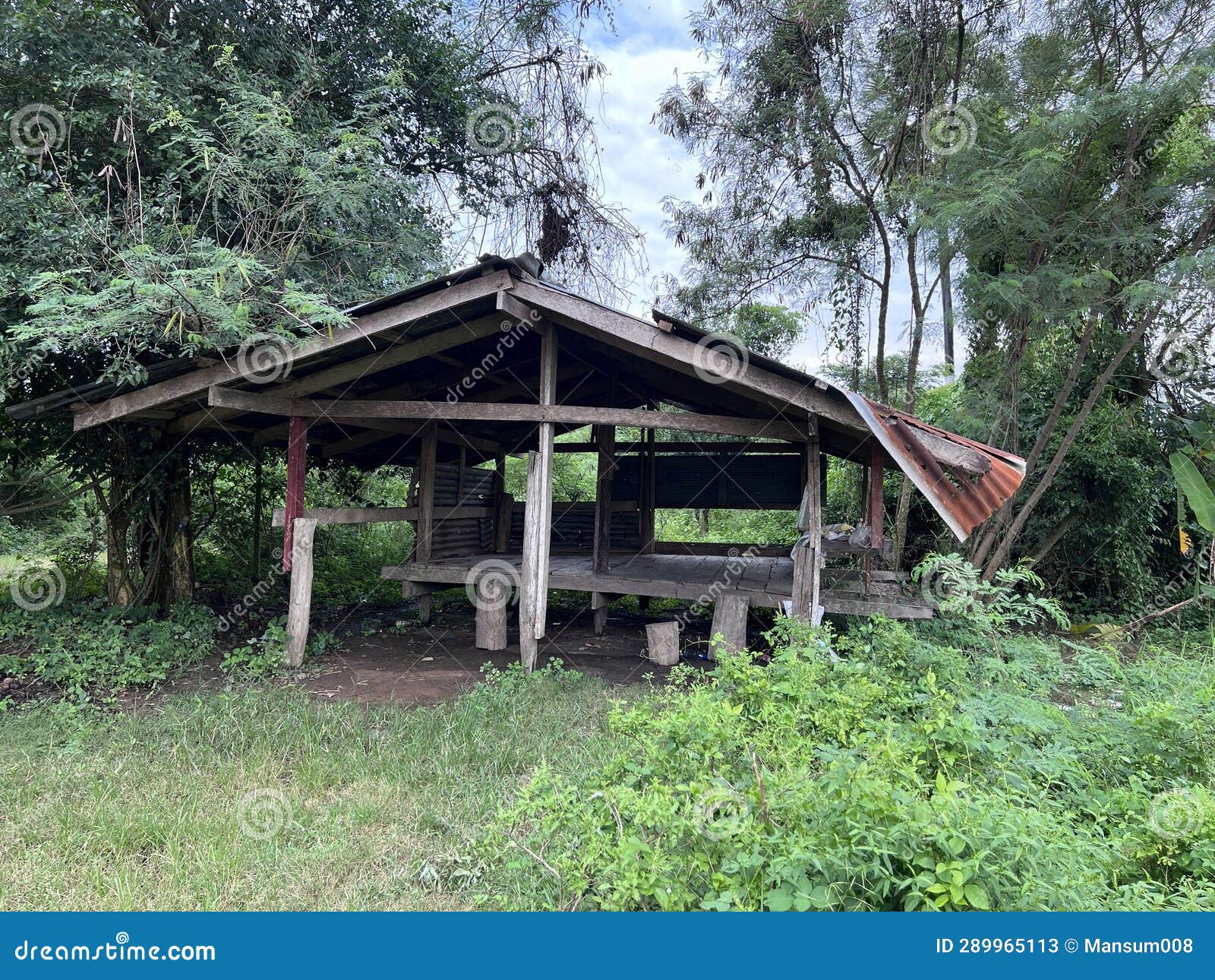 Wooden hut in the forest stock image. Image of grass - 289965113