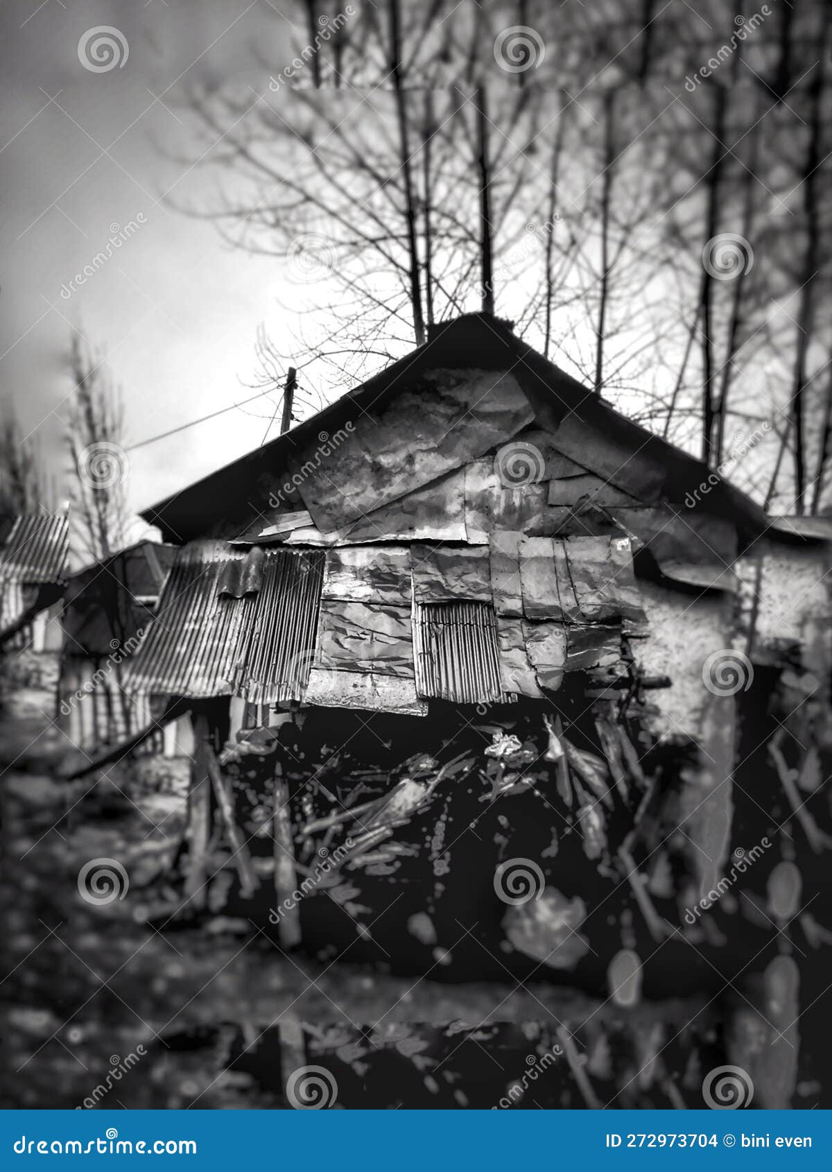 A Wooden Hut in a Forest Village Stock Photo - Image of village, trees ...