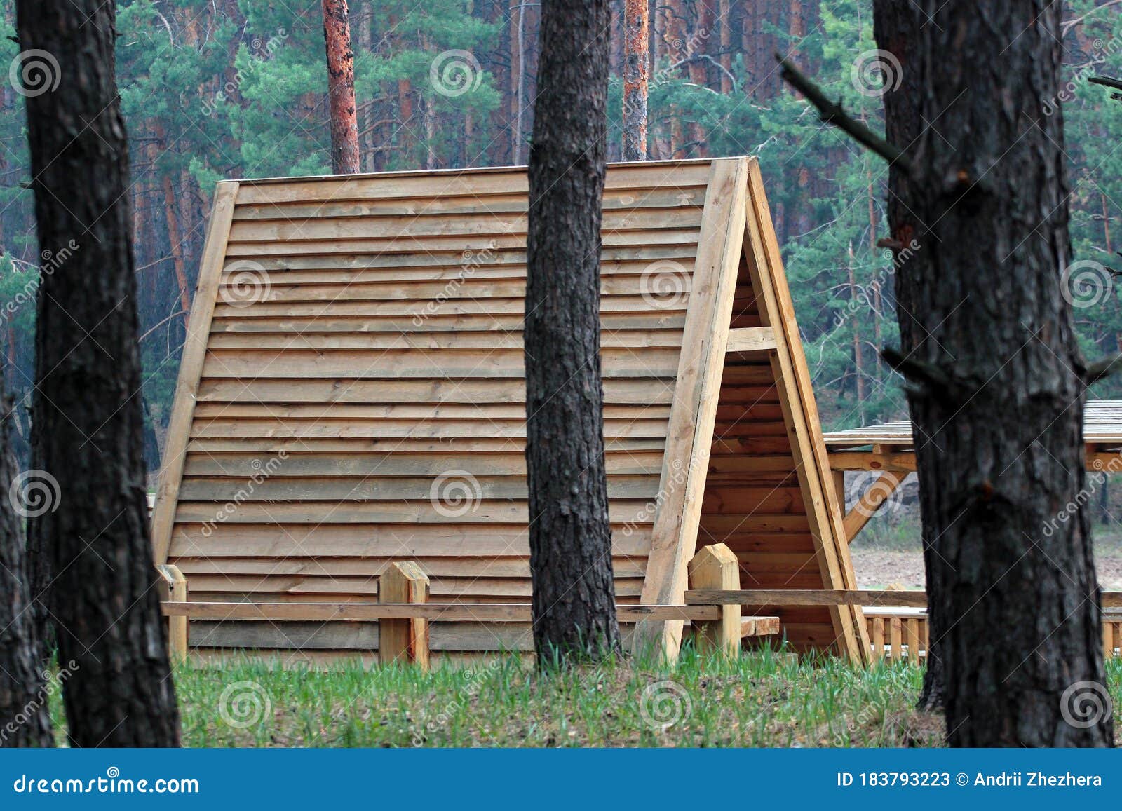 Wooden Hut in a Pine Forest Stock Image - Image of spot, pine: 183793223