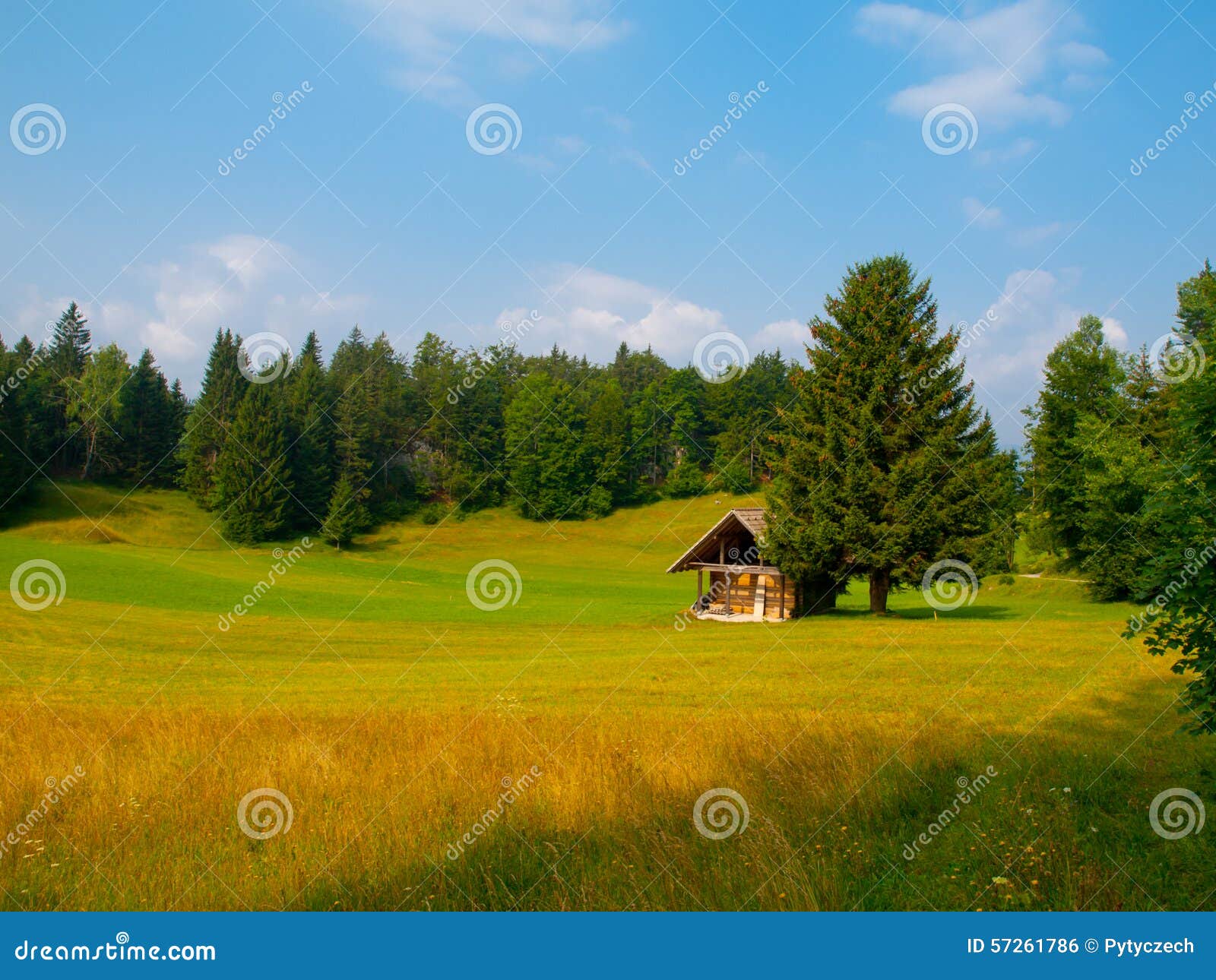 Wooden Hut and Tree in the Middle of Meadow Stock Photo - Image of ...