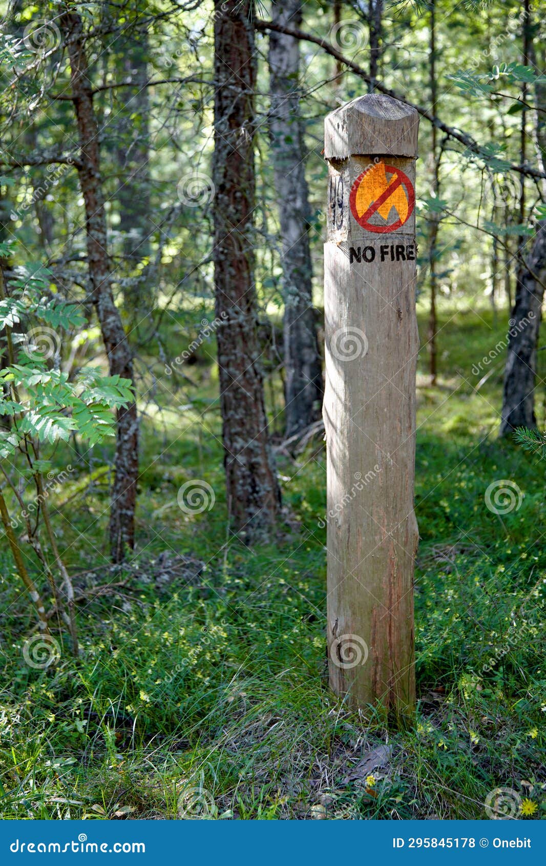 Wooden Information Pole in the Summer Forest with a Ban on Making Fires ...