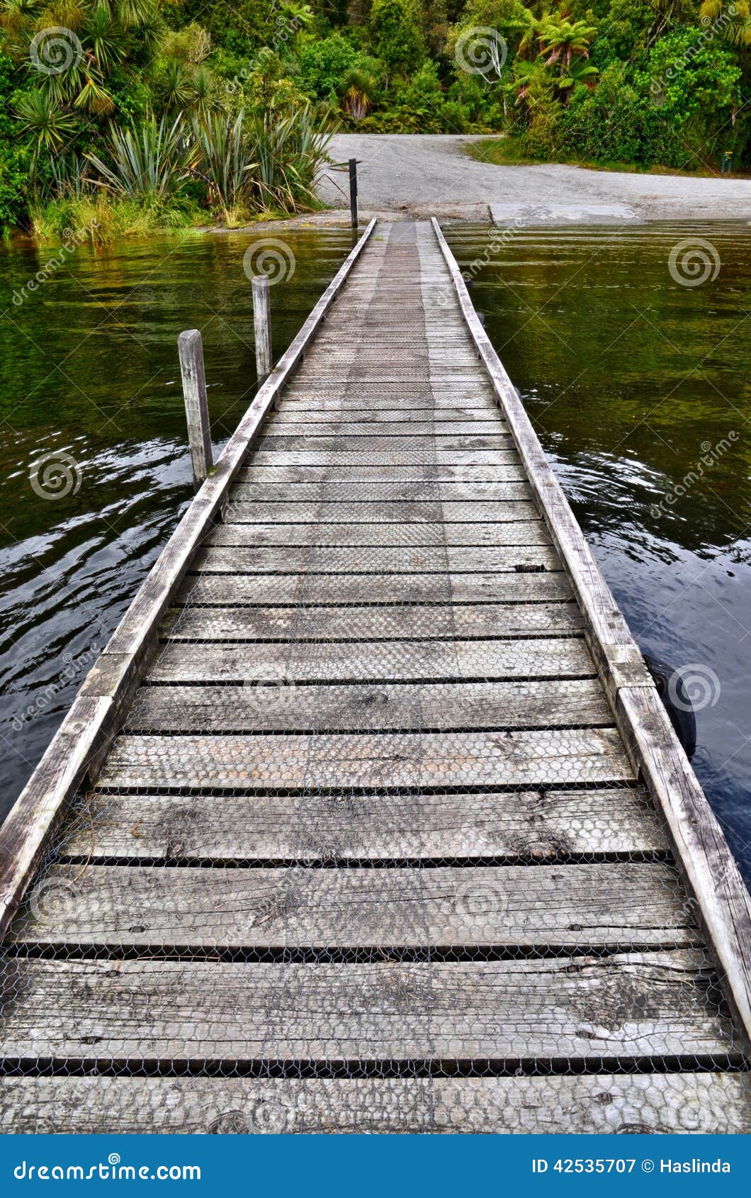 Wooden Jetty stock image. Image of forest, green, jetty - 42535707