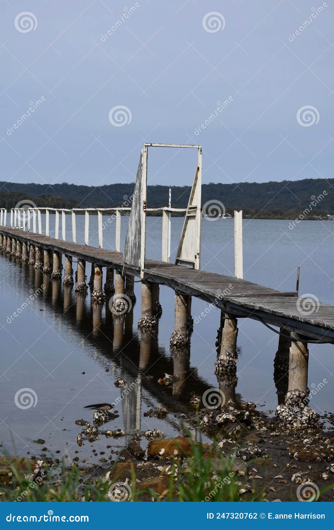 A Wooden Jetty Reflected in a Bay Stock Photo - Image of hills ...