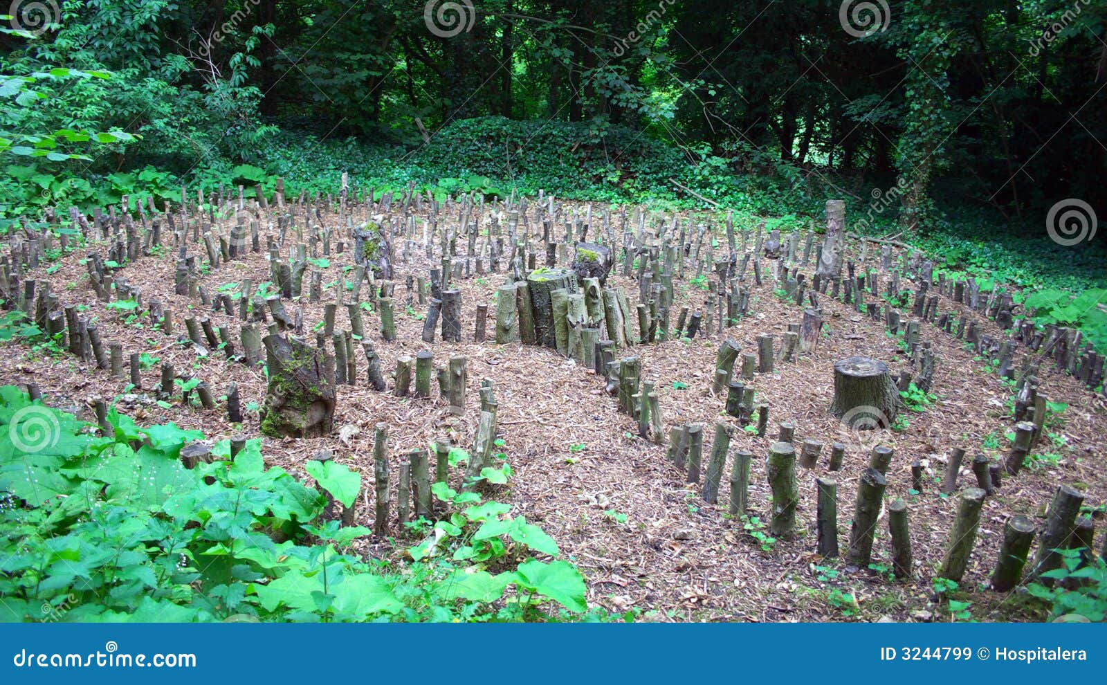 Wooden labyrinth stock image. Image of narrow, decision - 3244799